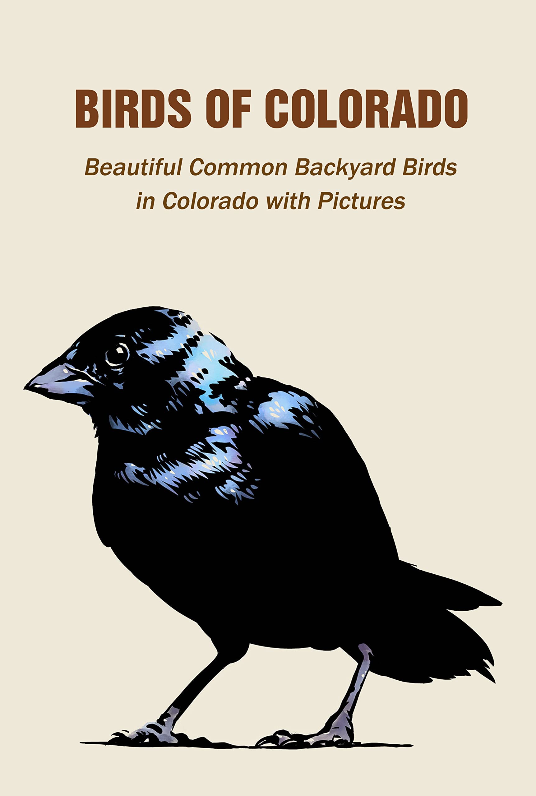 Birds of Colorado: Beautiful Common Backyard Birds in Colorado with ...