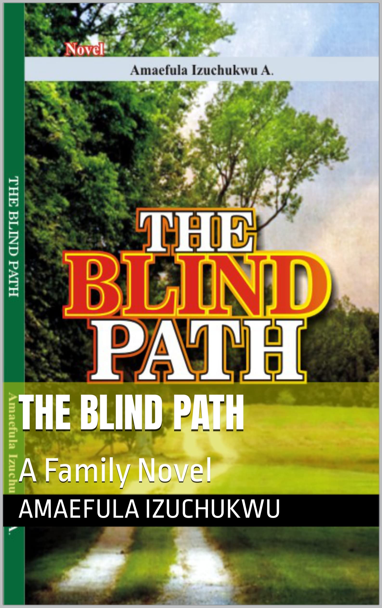 The Blind Path : A Family Novel by Amaefula Izuchukwu | Goodreads