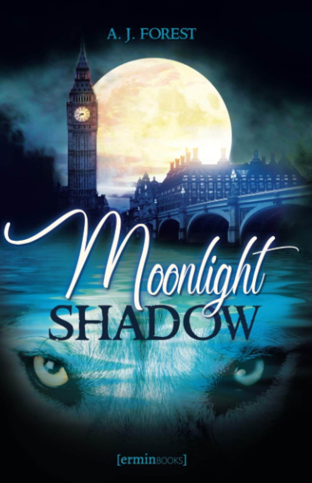 Moonlight Shadow (French Edition) by A.J. Forest | Goodreads