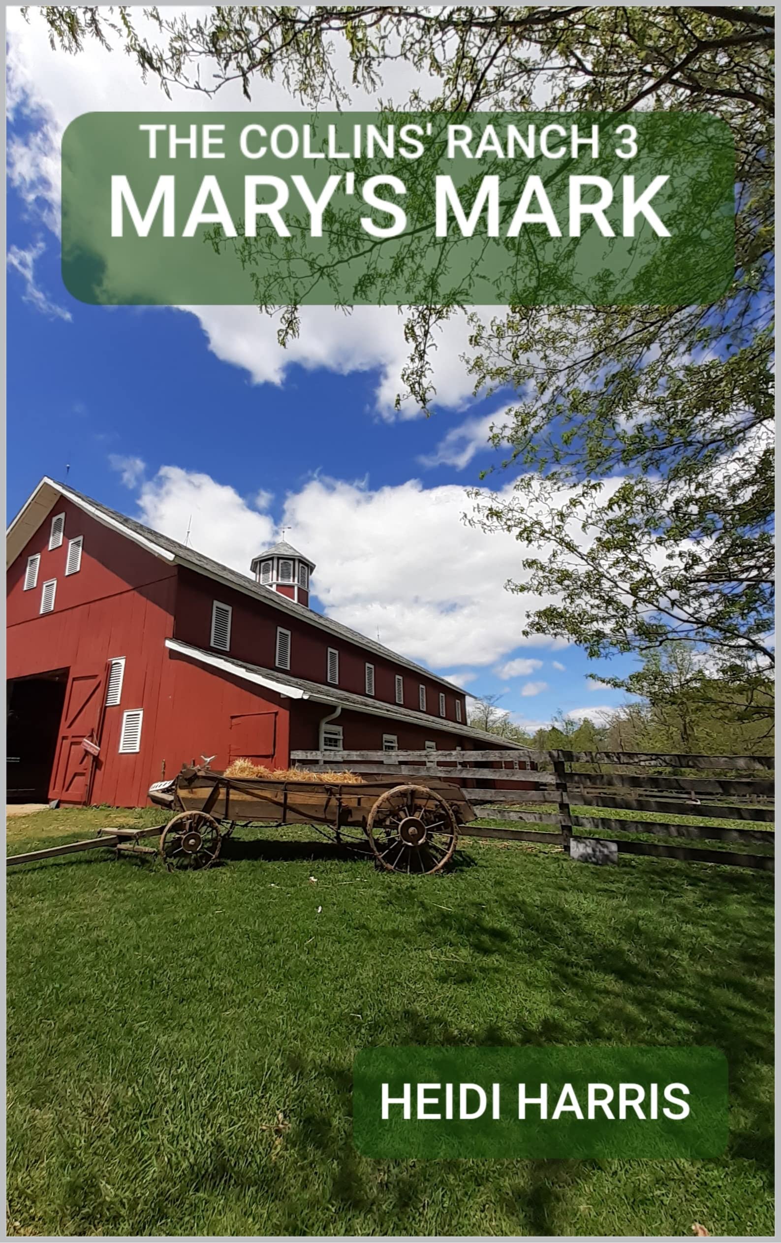 MARY'S MARK (The Collins' Ranch Trilogy Book 3) by Heidi Harris | Goodreads
