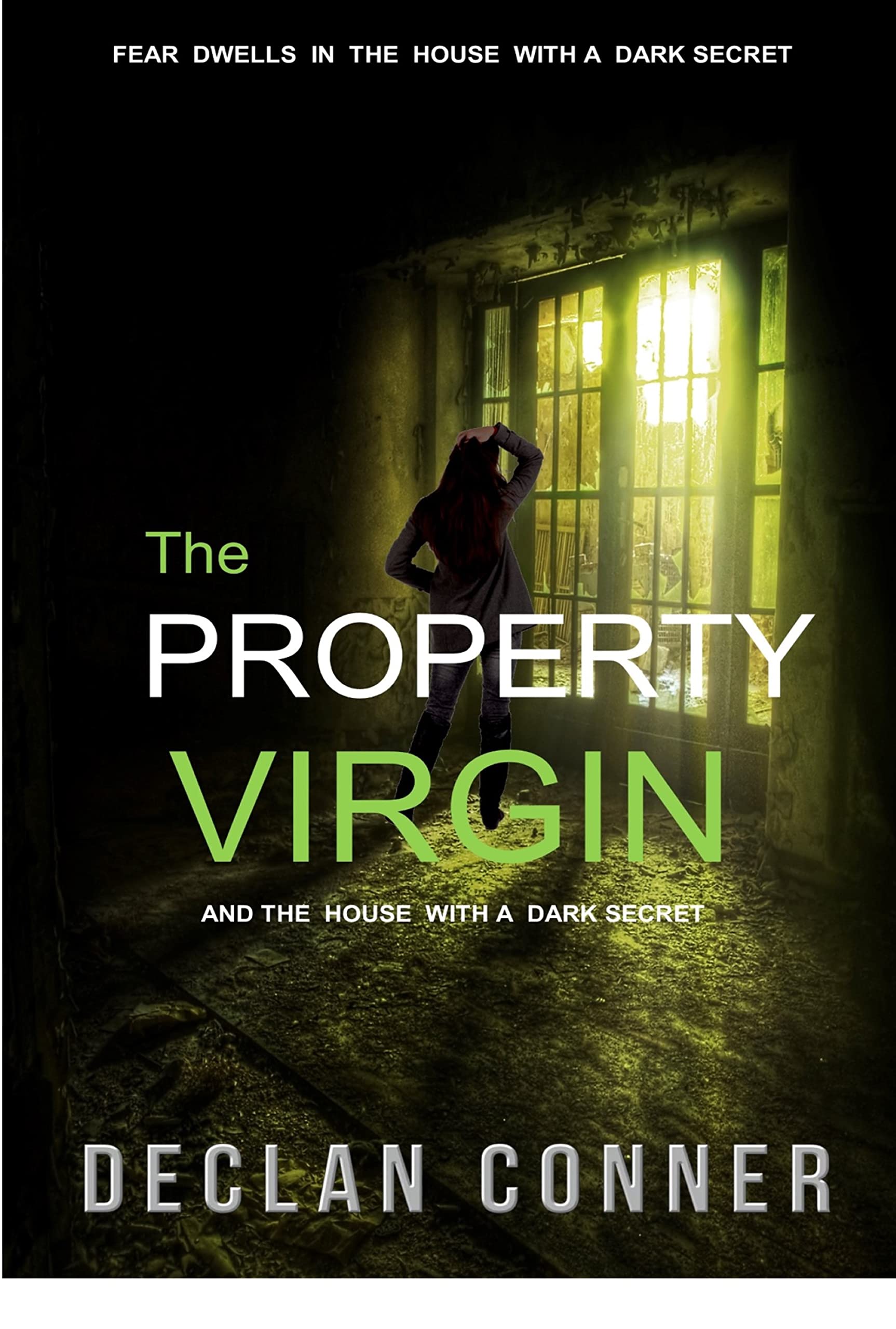 The Property Virgin: And the House with a Dark Secret by Declan Conner ...