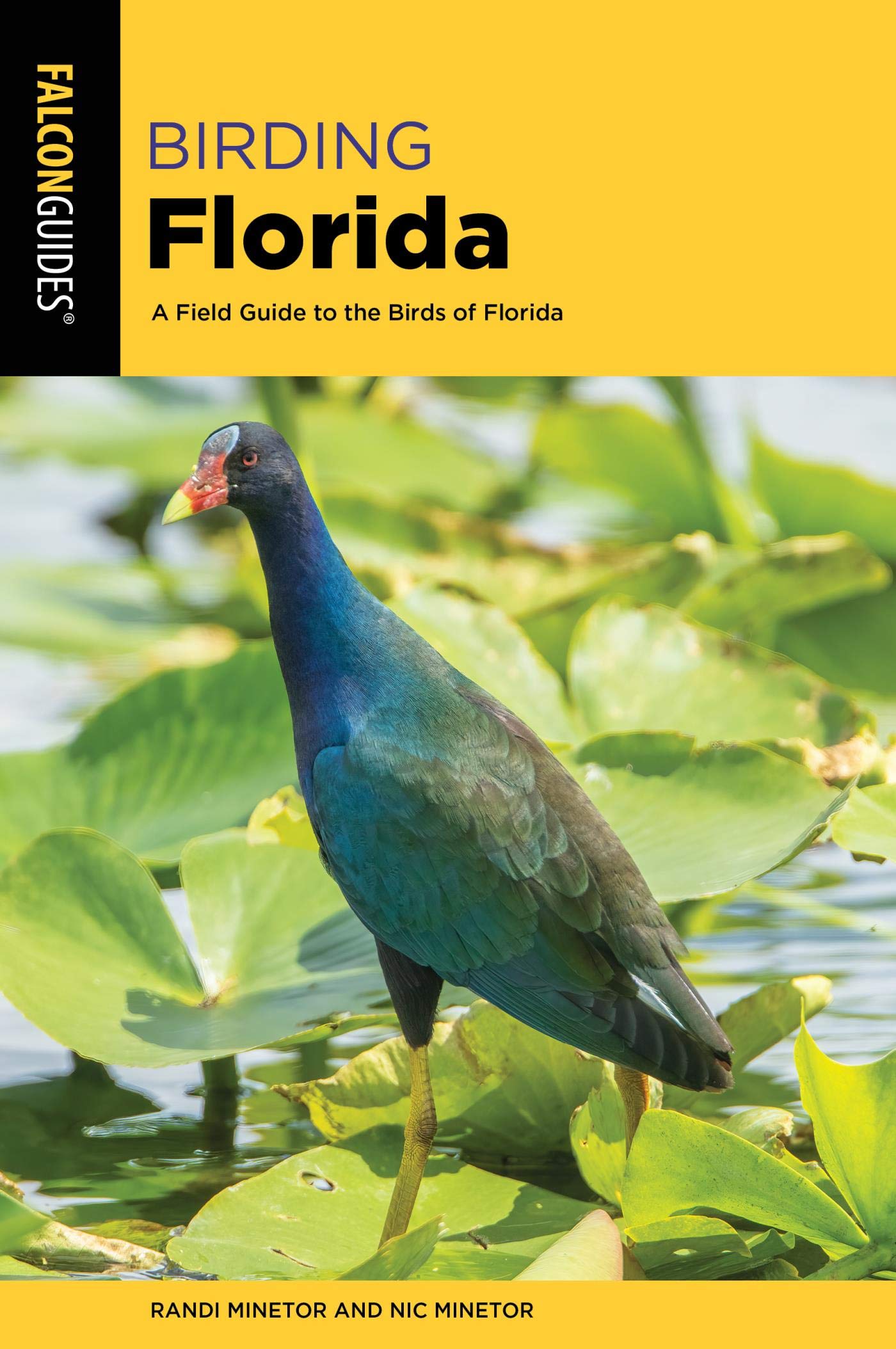 Birding Florida: A Field Guide to the Birds of Florida by Randi Minetor ...