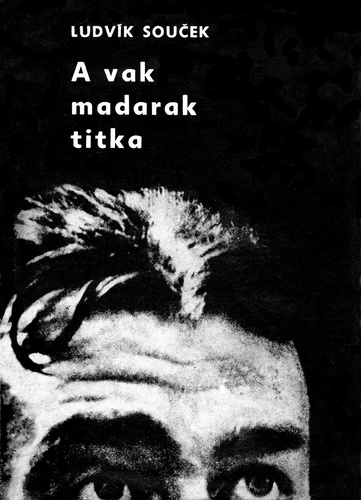 A vak madarak titka by Ludvík Souček | Goodreads
