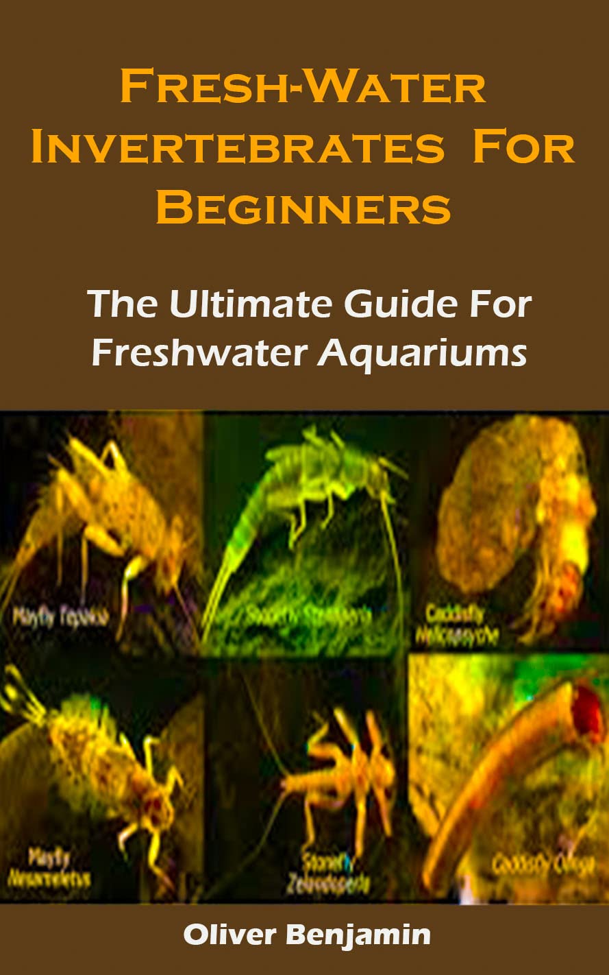 Fresh-Water Invertebrates For Beginners: The Ultimate Guide For ...