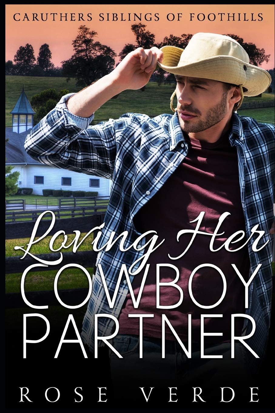 Loving Her Cowboy Partner (Love, Faith, and Cowboys) by Rose Verde ...