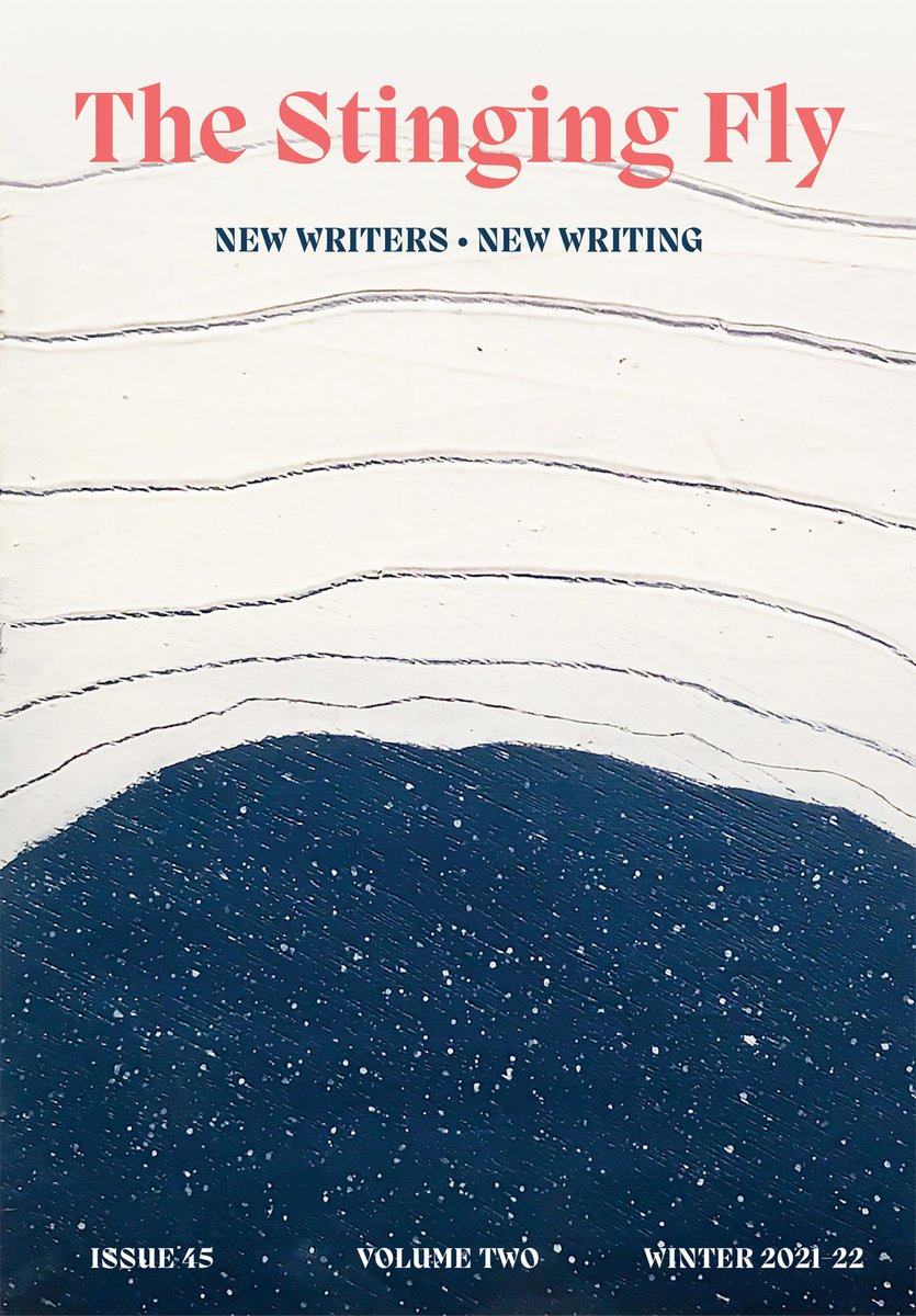 The Stinging Fly Issue 45/Volume Two Winter 2021-22 by Danny Denton ...