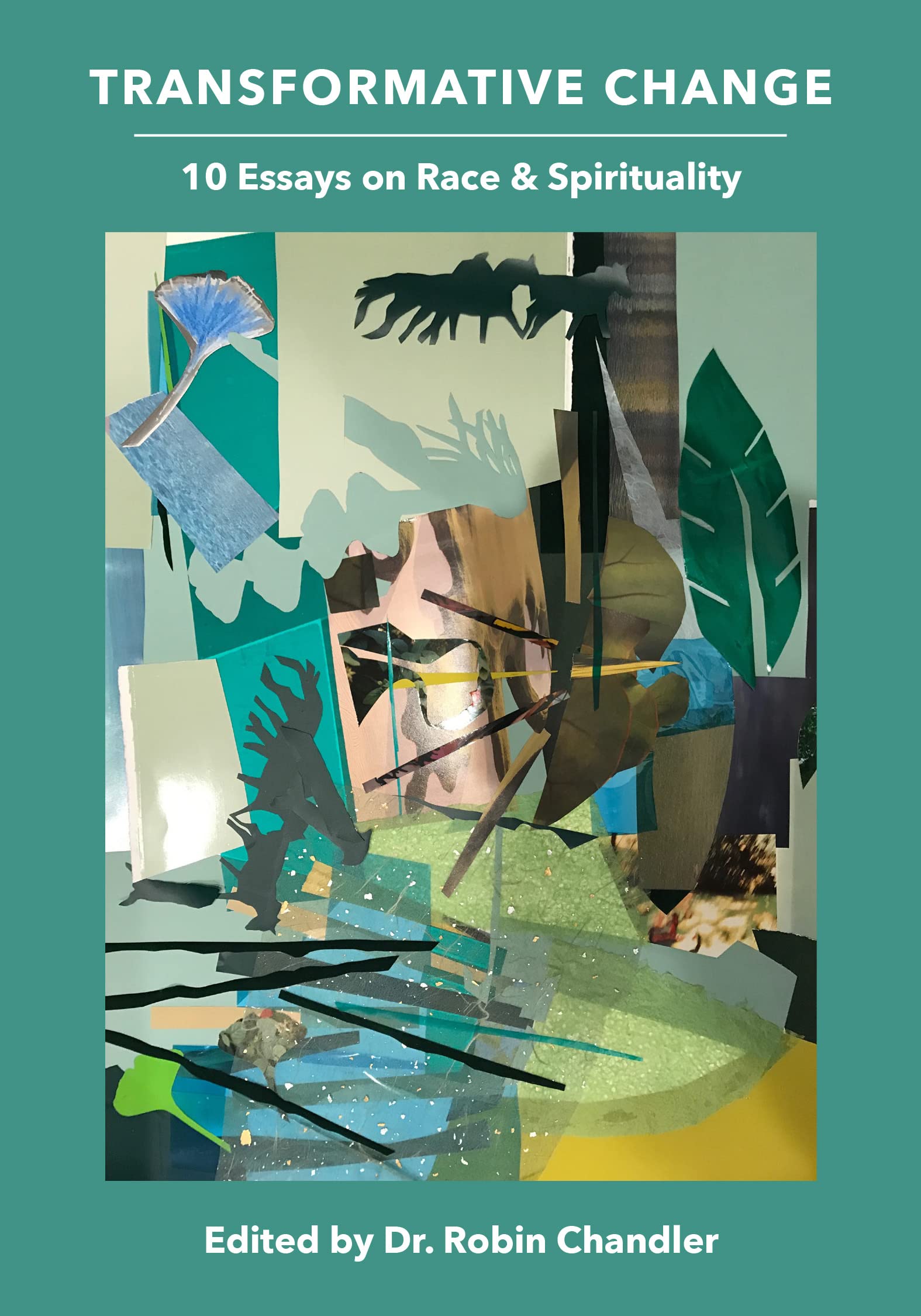 Transformative Change : 10 Essays on Race & Spirituality by Robin ...