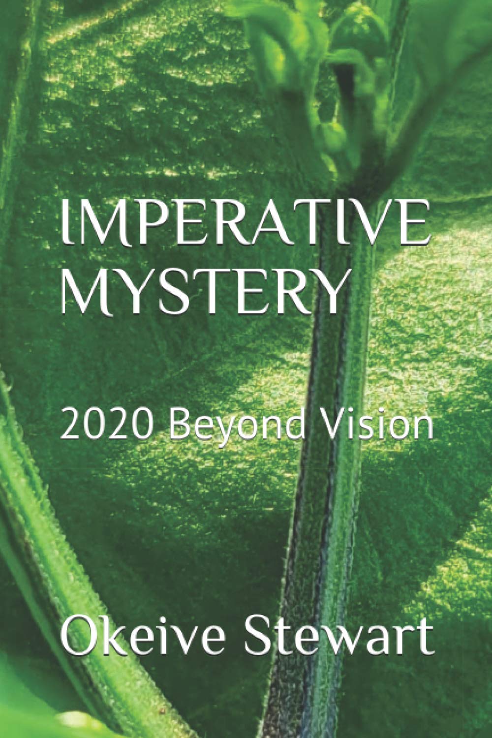 IMPERATIVE MYSTERY: 2020 BEYOND VISION by Okeive Ogilvie Stewart ...