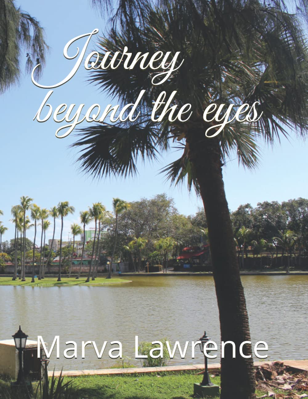 Journey beyond the Eyes (EXPLORING THE MIND) by Marva H Lawrence ...
