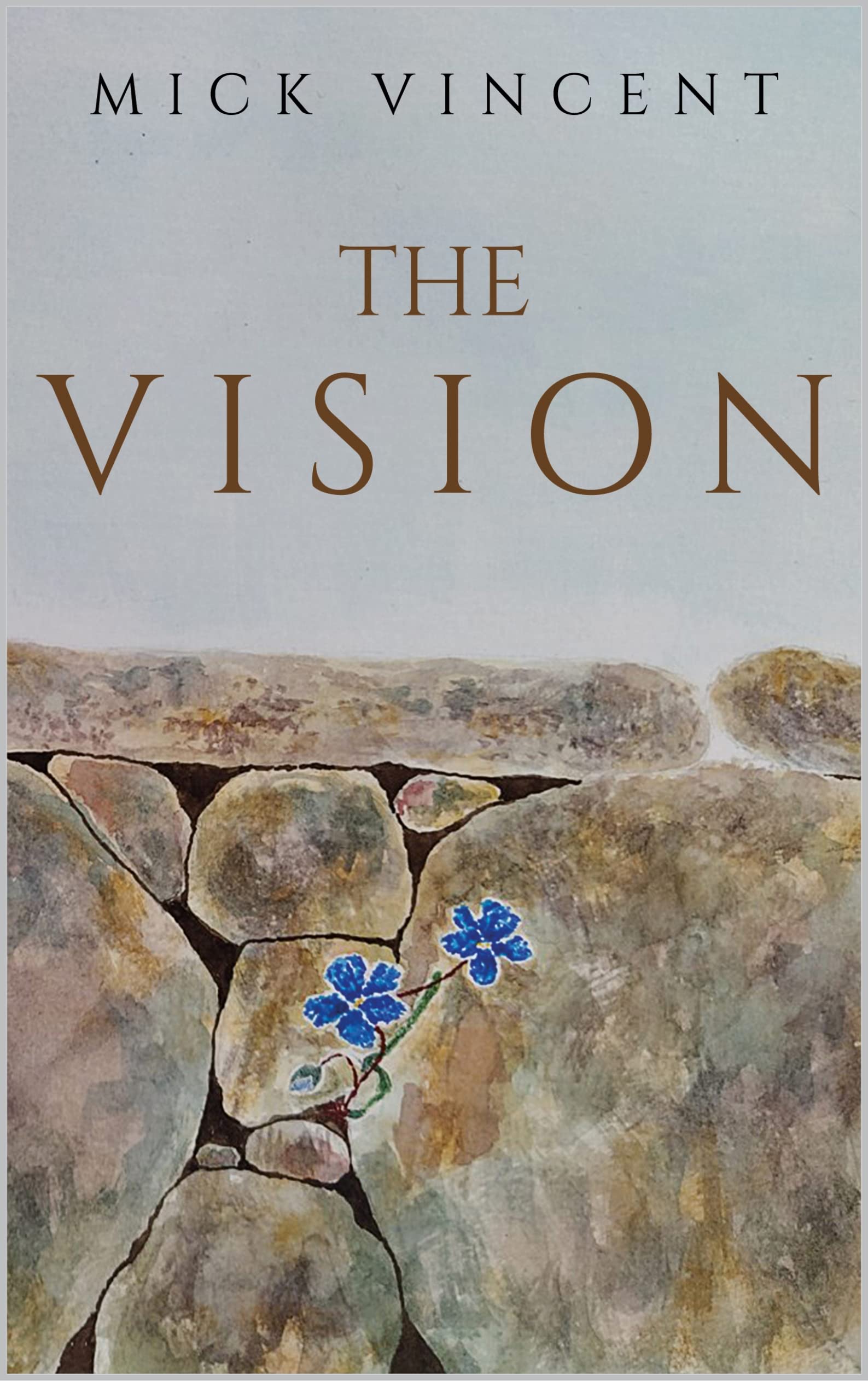 The Vision by Mick Vincent | Goodreads