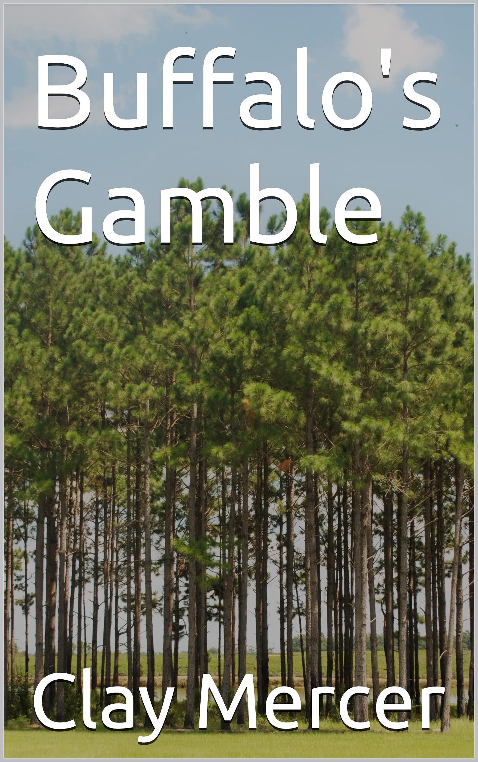 Buffalo's Gamble by Clay Mercer | Goodreads