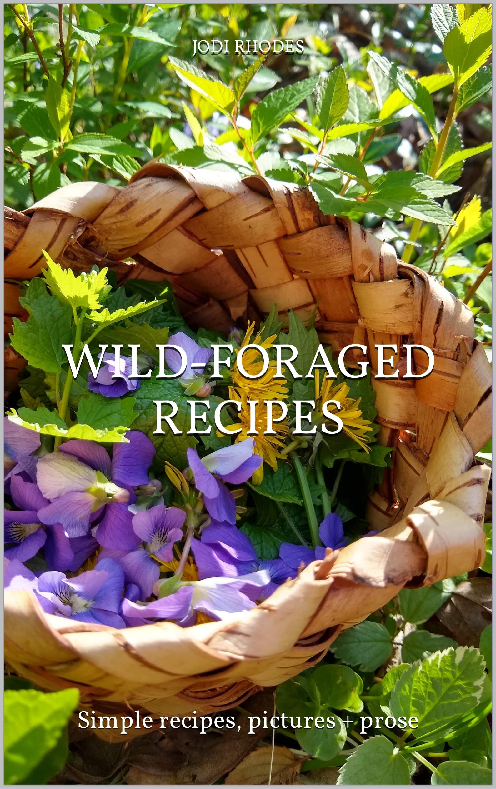 Wild-Foraged Recipes : Simple recipes, pictures + prose by Jodi Rhodes ...