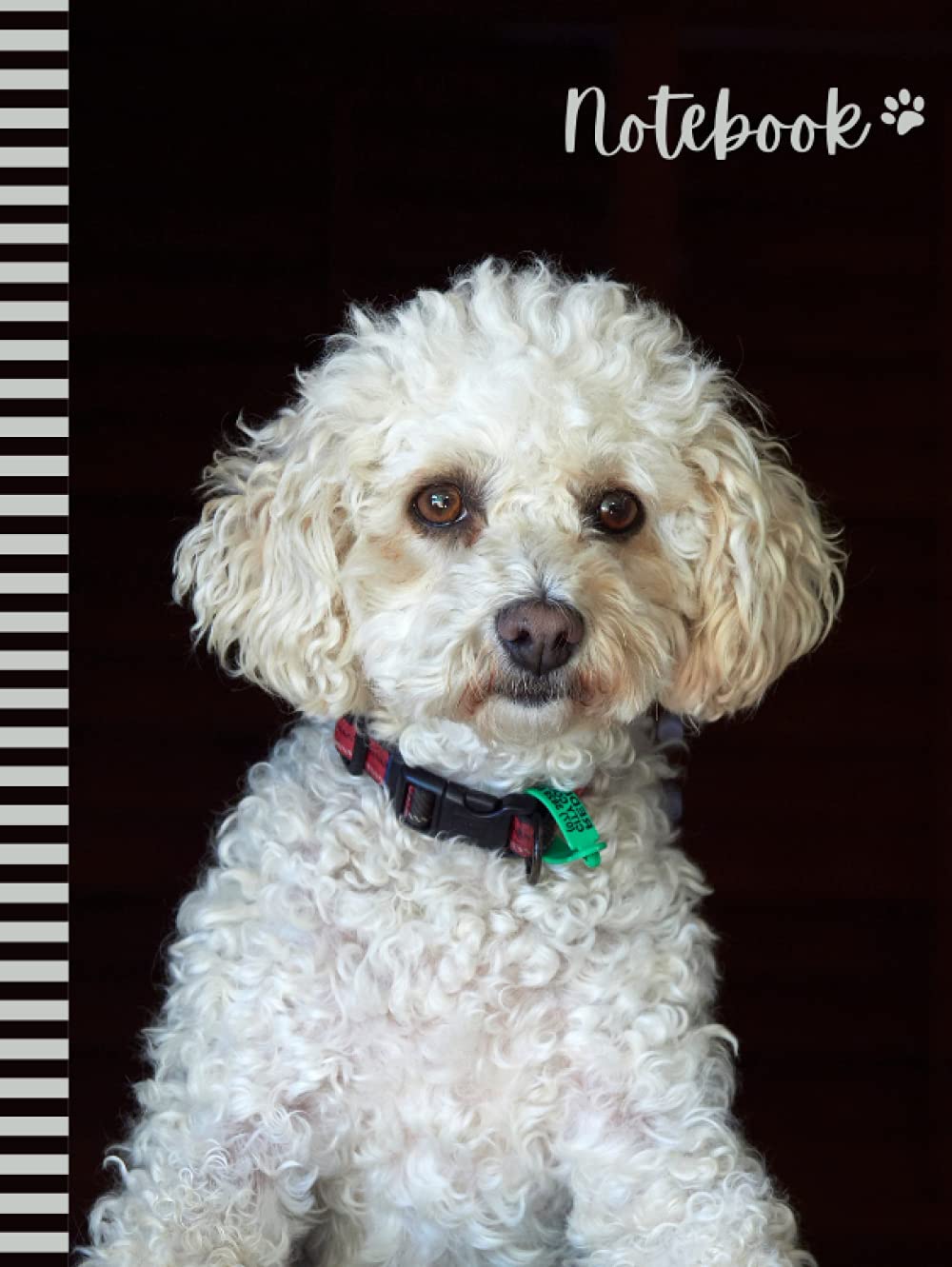 Notebook: Large Hardcover 8.5x11 Composition Journal / 100 Sheets ...