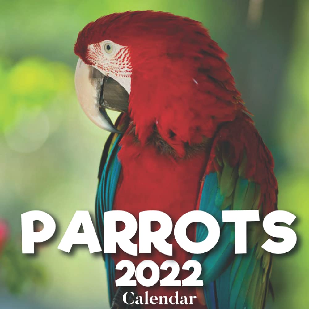 Parrots 2022 Calendar: A Monthly and Weekly Calendar 2022 - 12 months ...