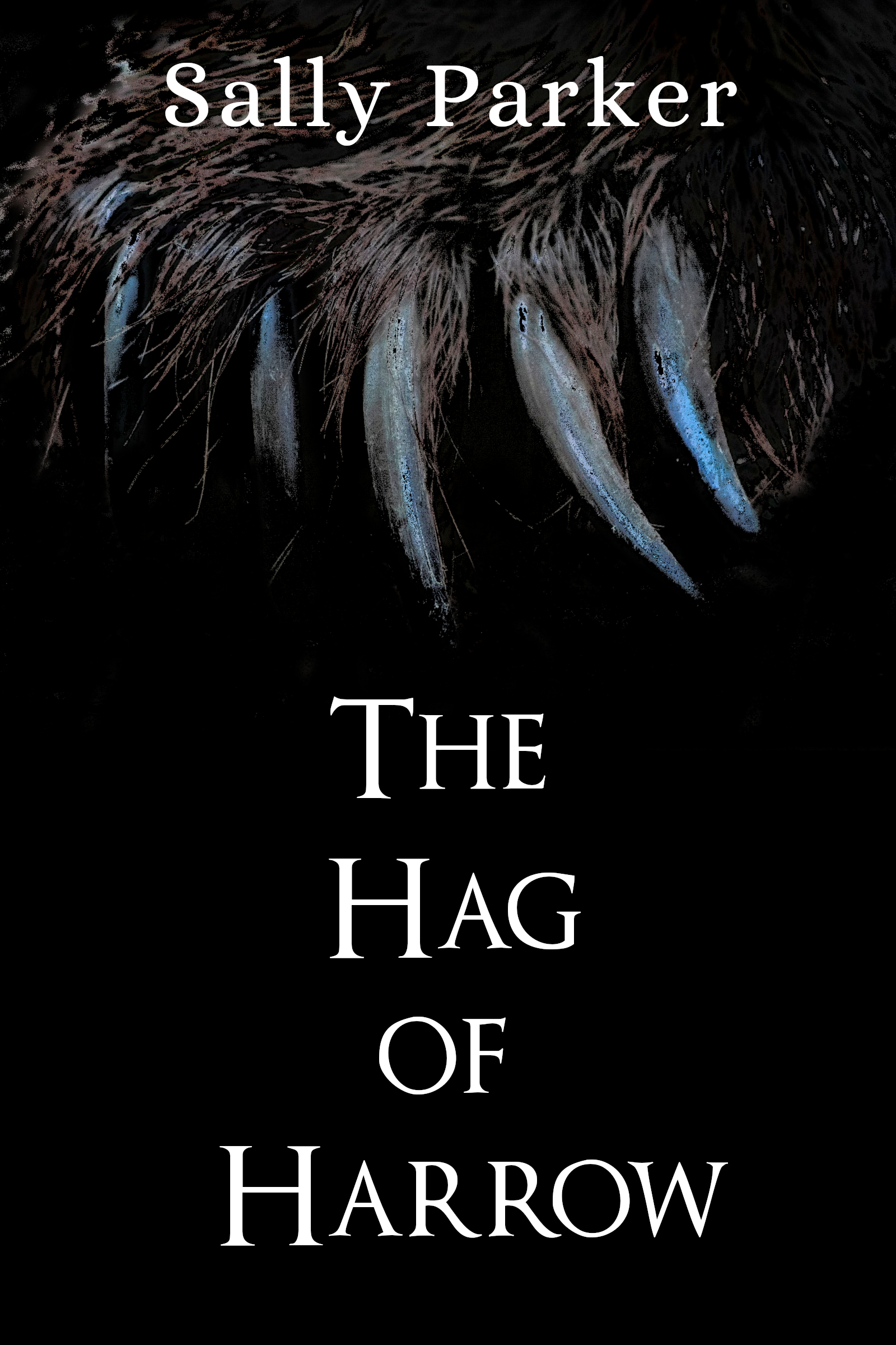 The Hag of Harrow (Mercenary and Seer, #3) by Sally Parker | Goodreads