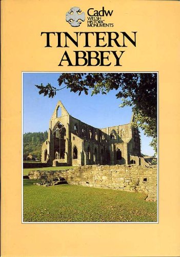 Tintern Abbey by David M. Robinson | Goodreads