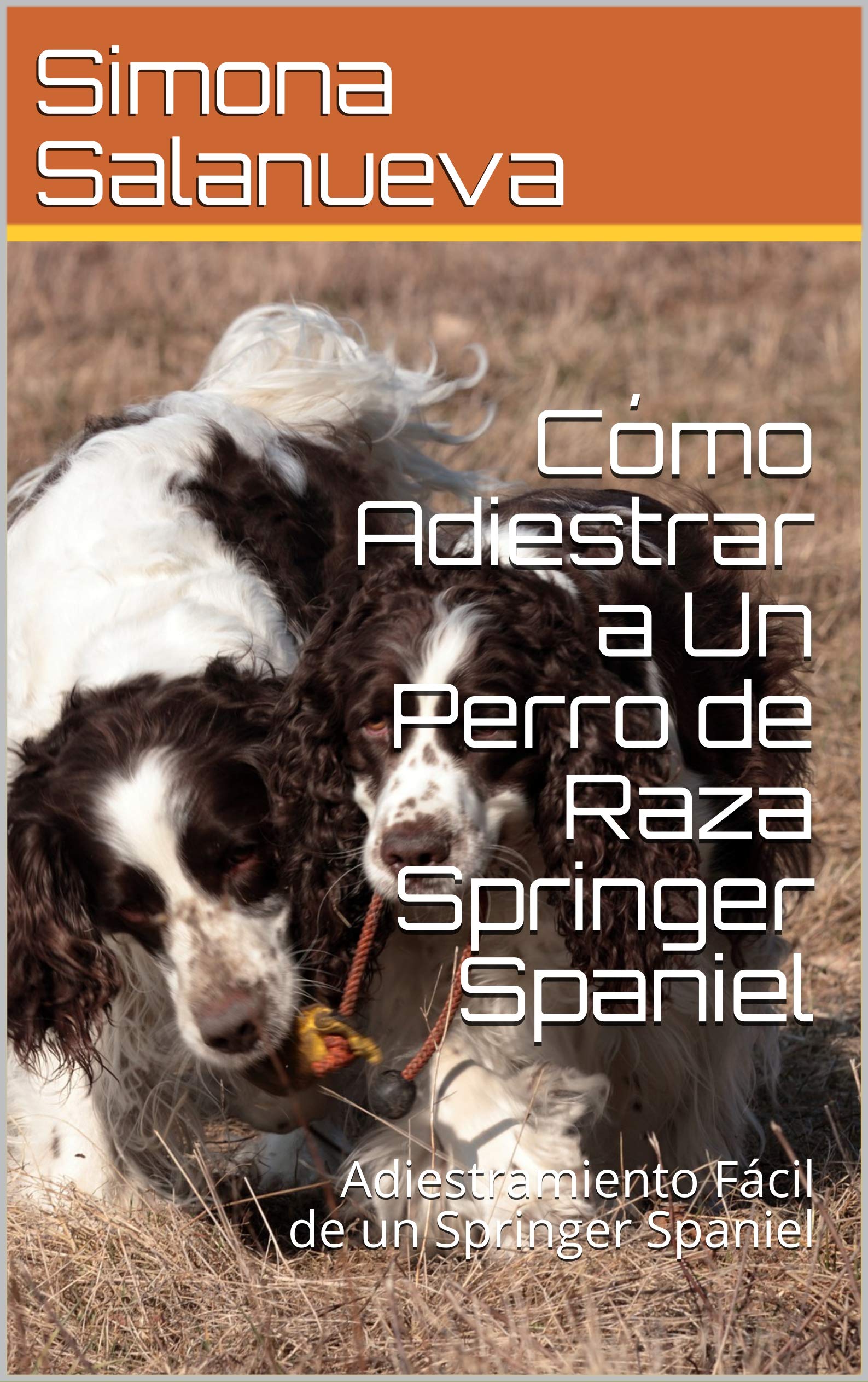 Cómo Adiestrar a Un Perro de Raza Springer Spaniel : Adiestramiento ...