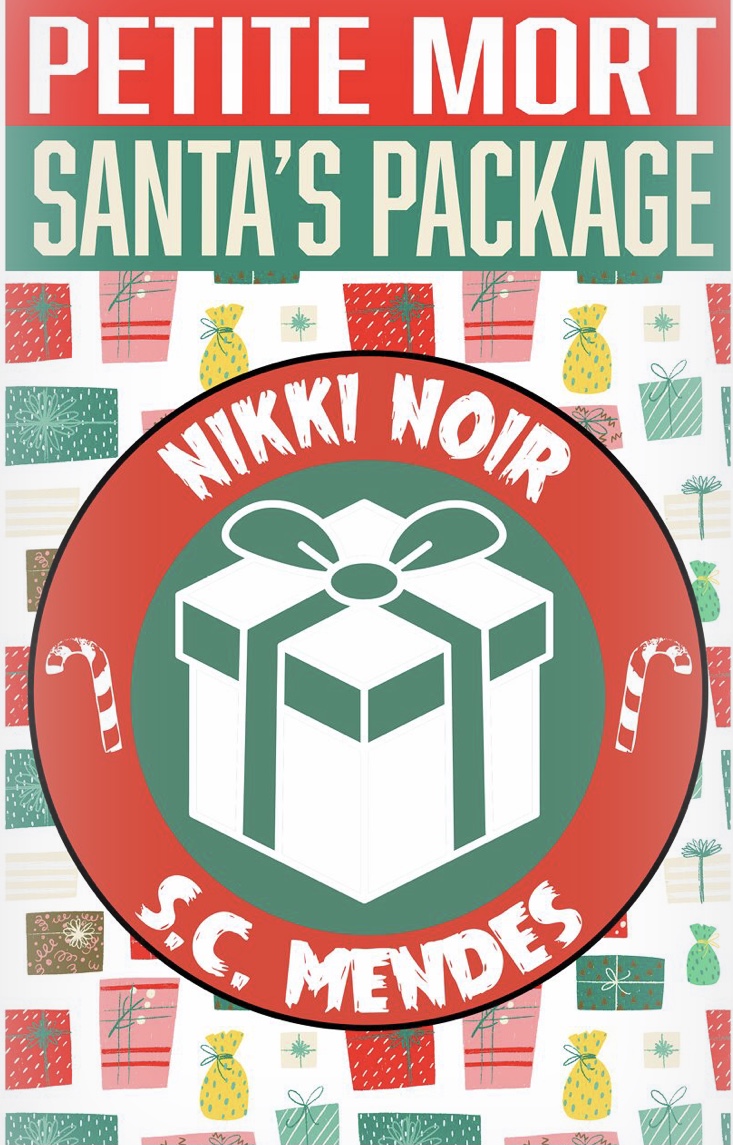 Santa’s package by Nikki Noir | Goodreads