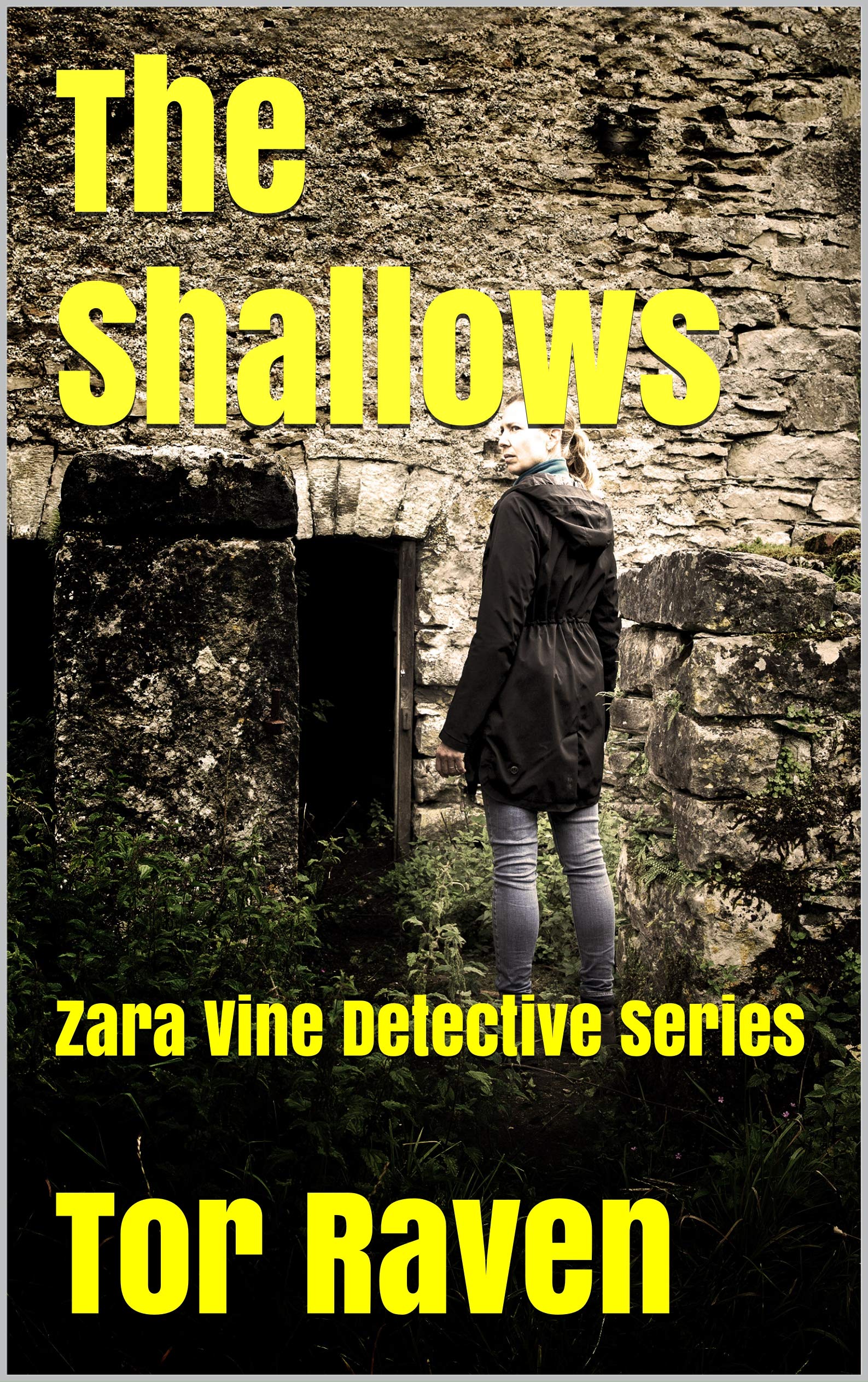 The Shallows: Zara Vine. New Detective. Old Case. Buried Secrets. by ...