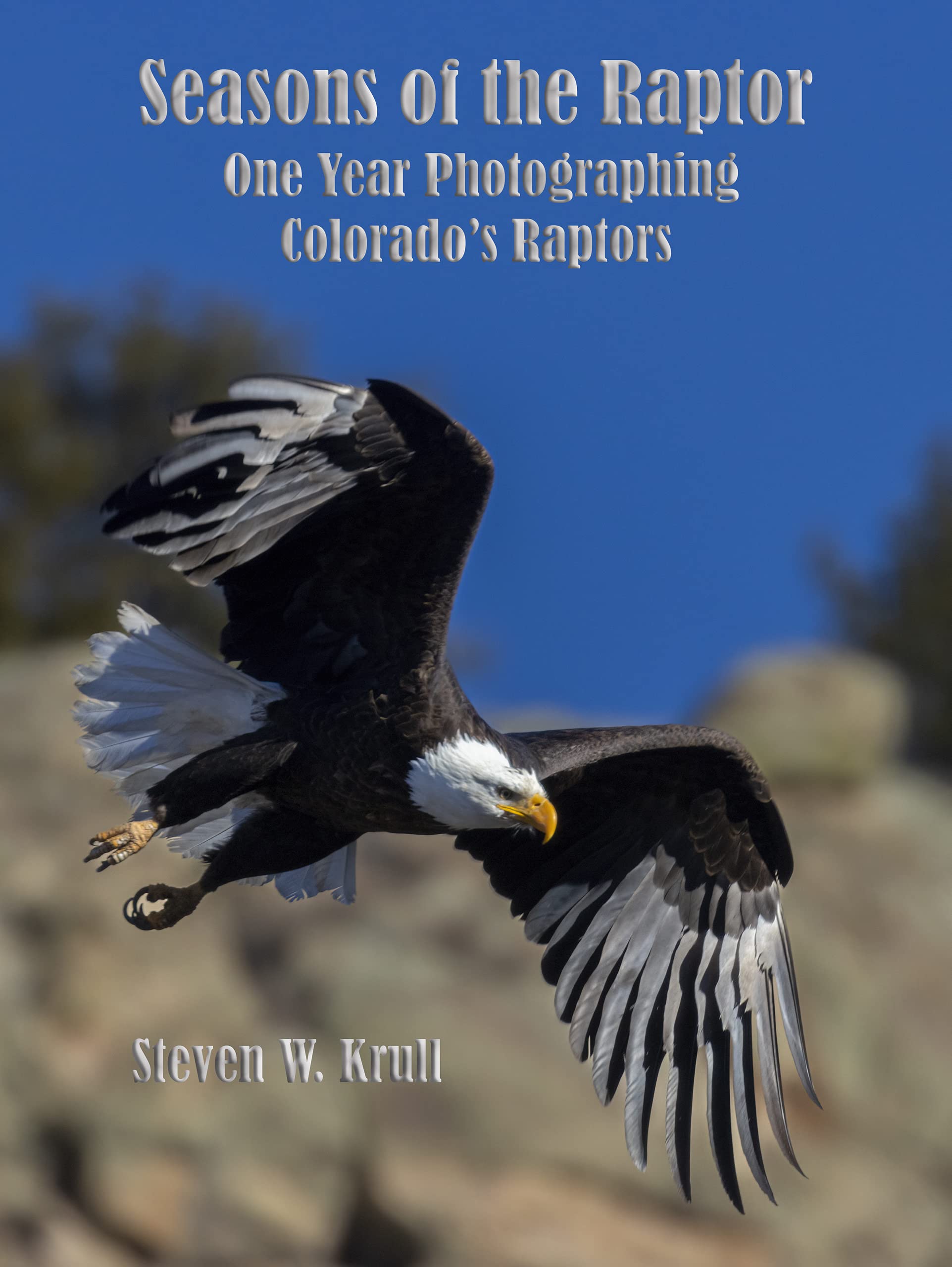 Seasons of the Raptor: One Year Photographing Colorado's Raptors by ...
