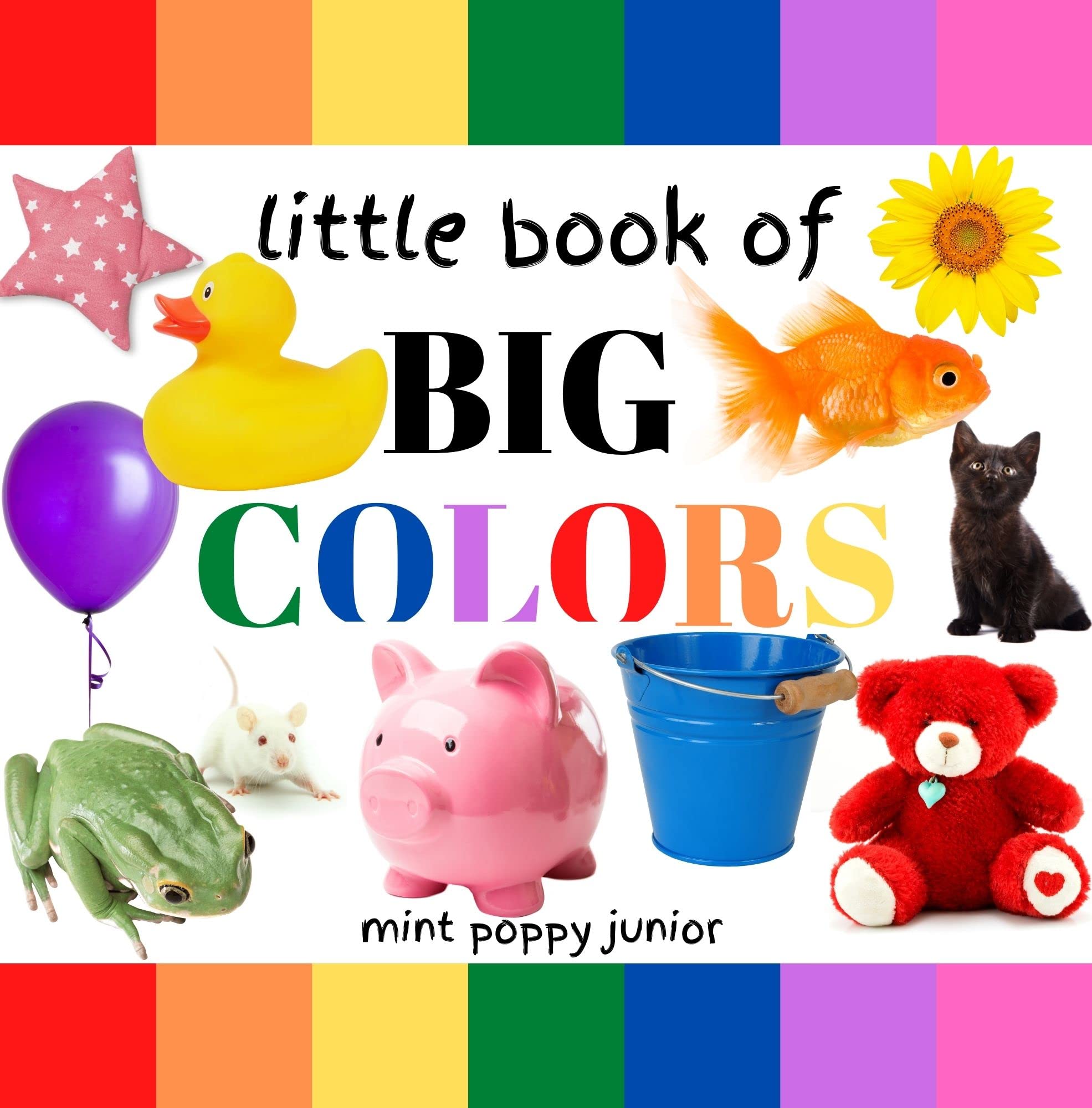 Little Book Of Big Colors: Learn Colors For Toddlers 1-4 years: EASY ...