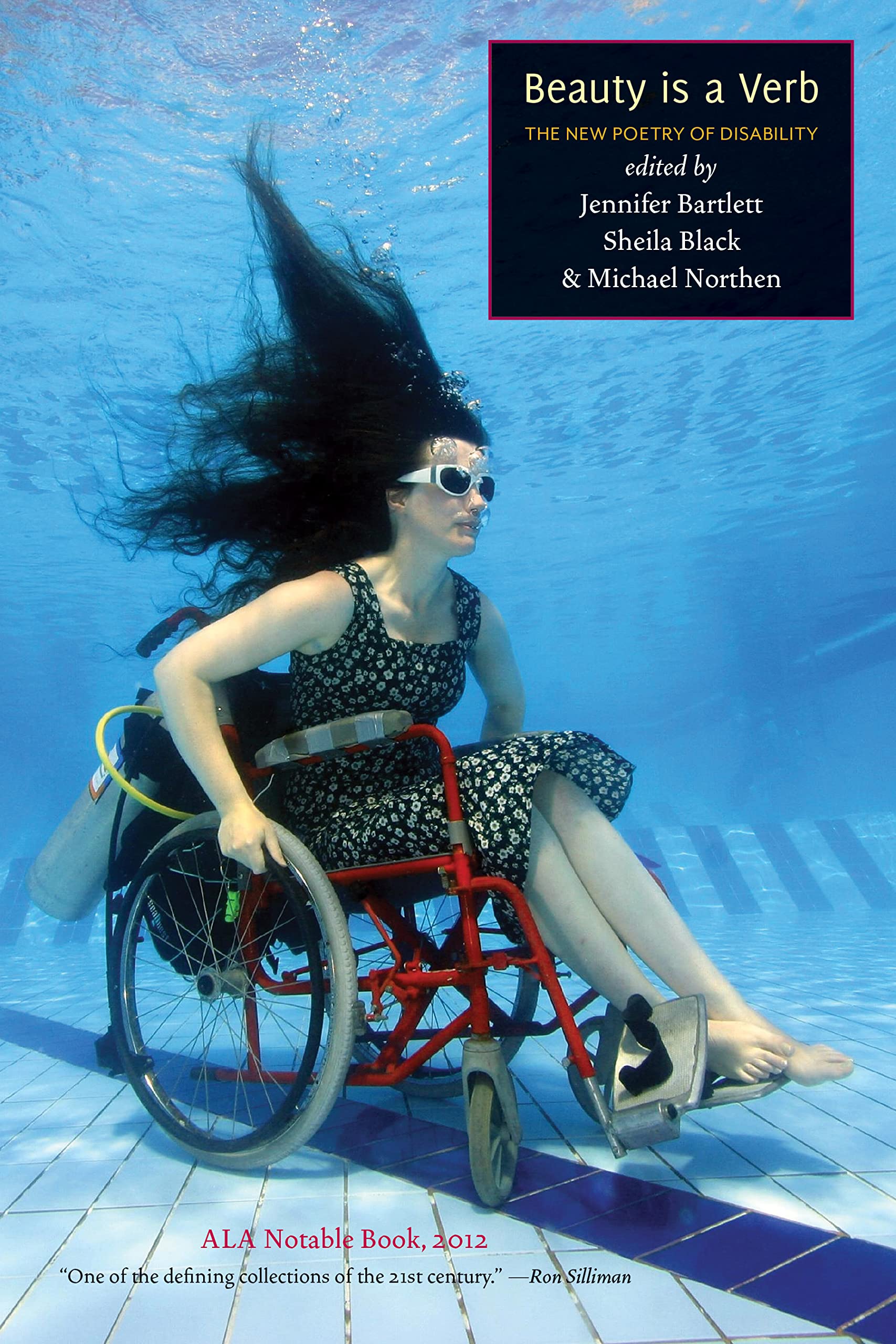 beauty-is-a-verb-the-new-poetry-of-disability-by-sheila-black-goodreads