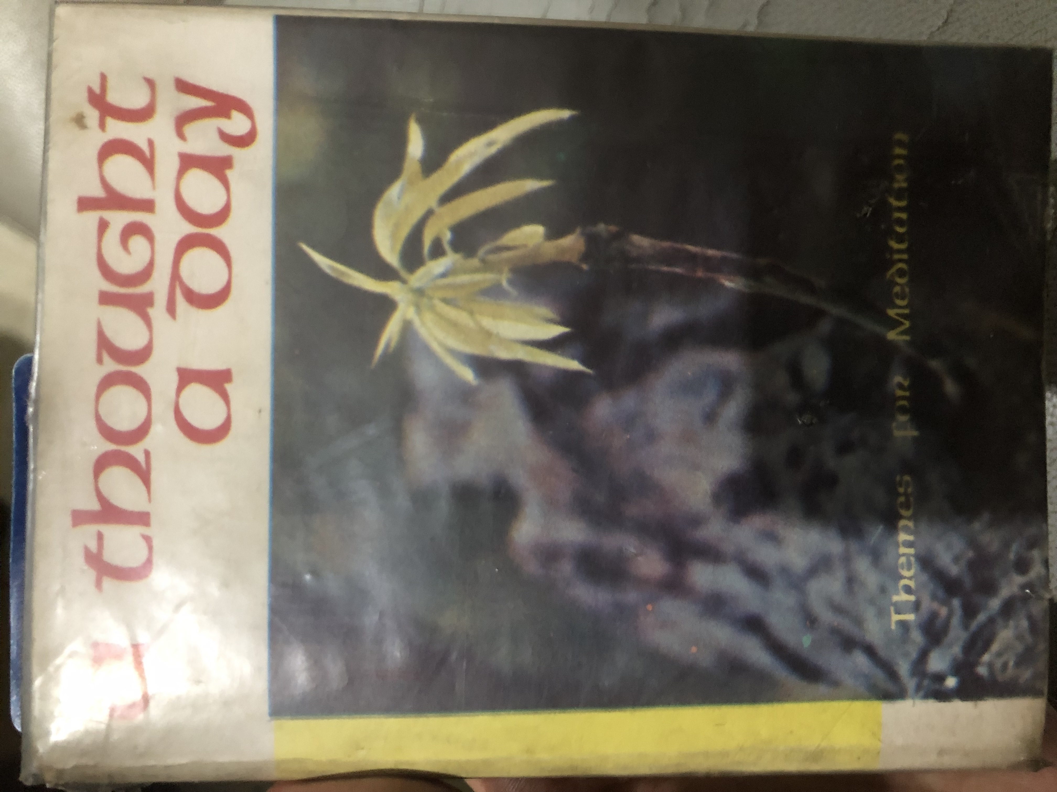 A Thought A Day: Themes for Meditation by Methodius F. Cikrit | Goodreads