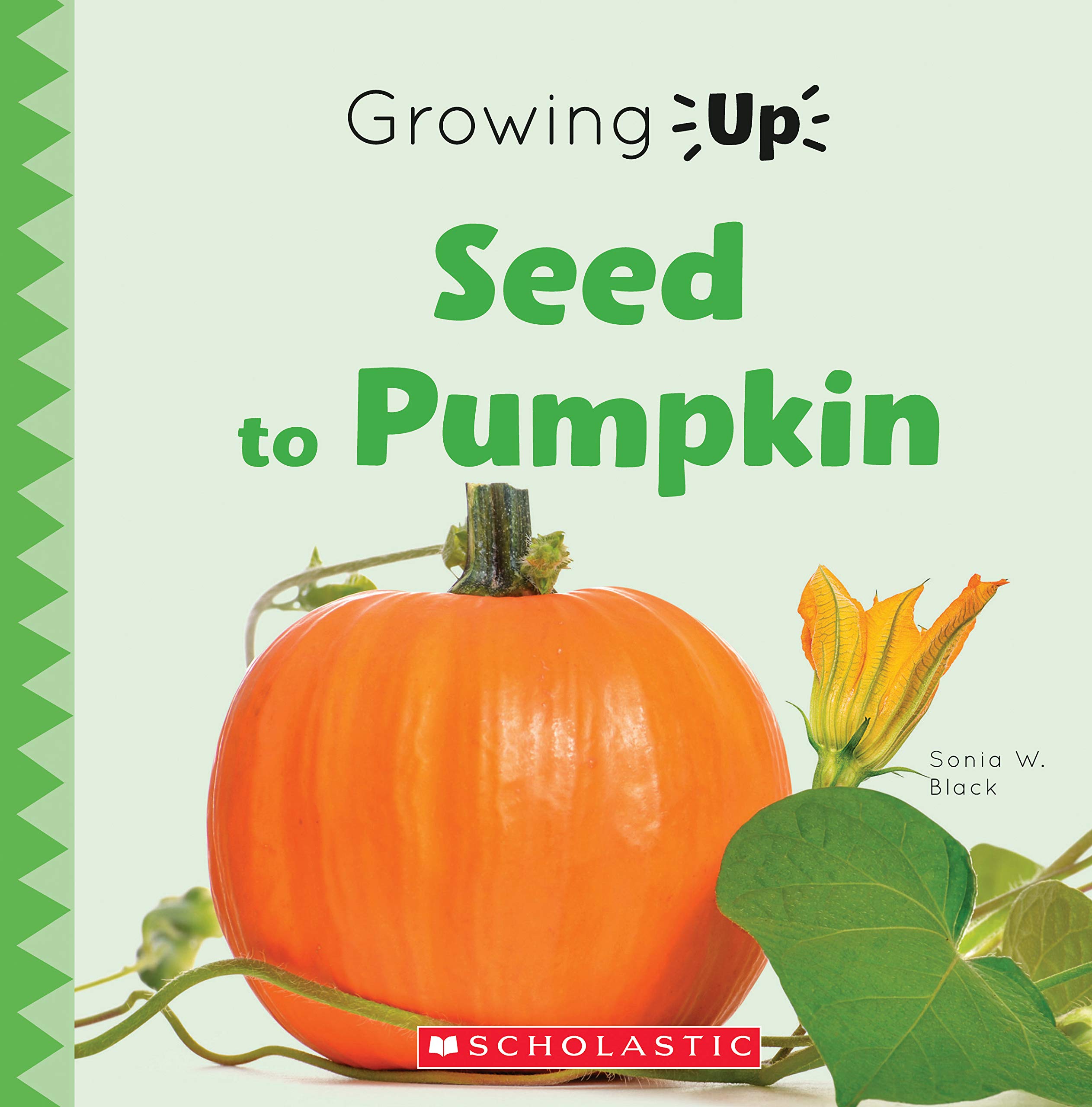 Seed to Pumpkin (Growing Up) by Sonia W. Black | Goodreads