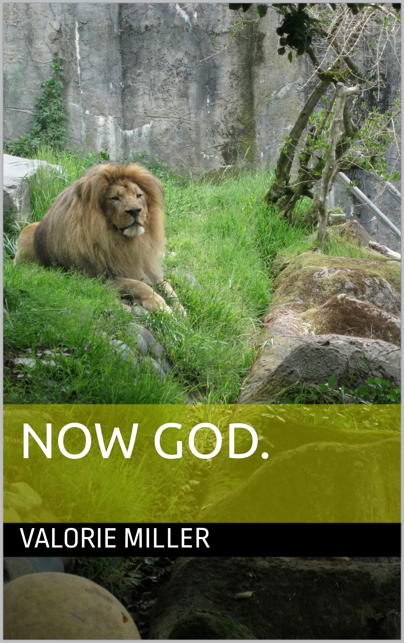 Now God. by Valorie Miller | Goodreads