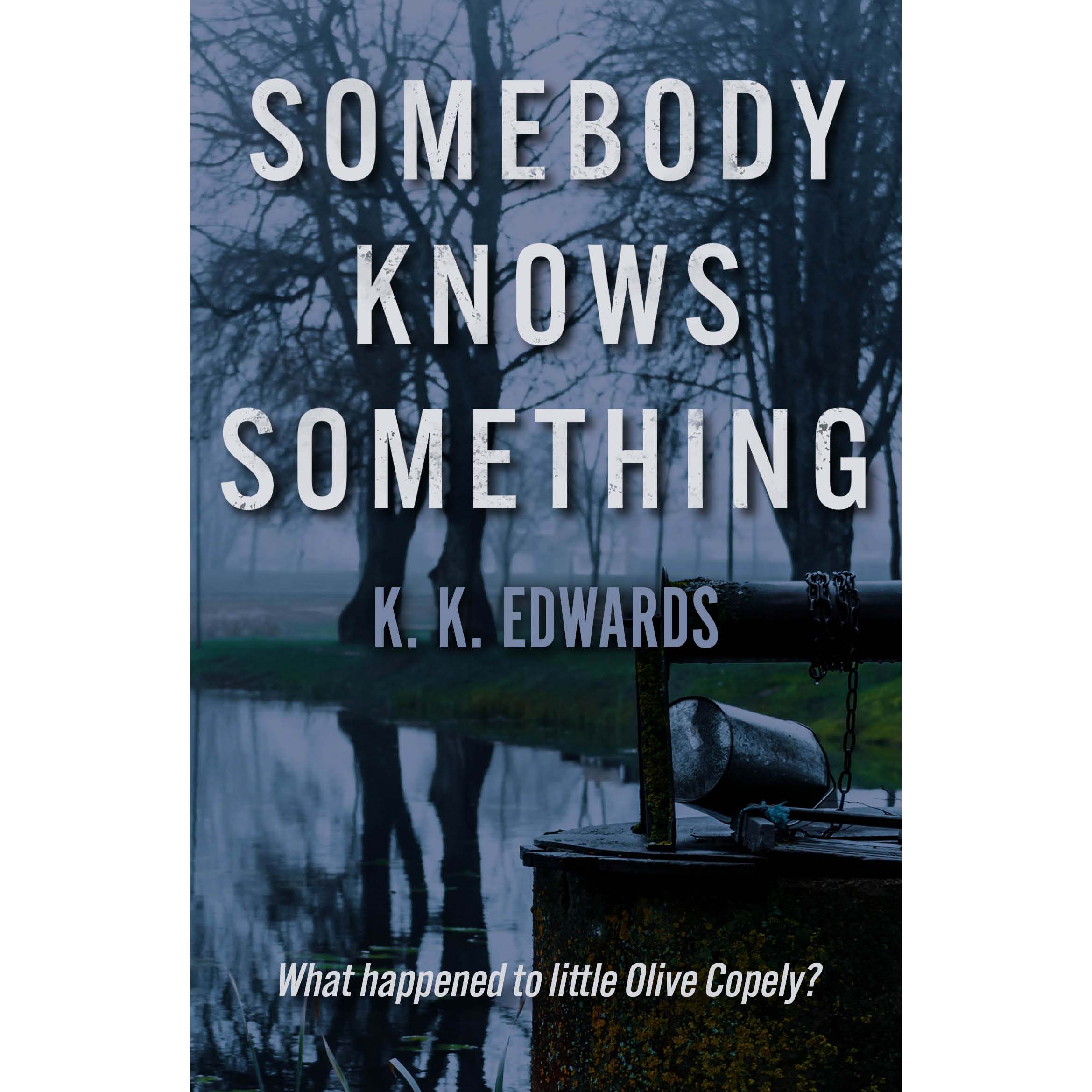 Somebody Knows Something by K.K. Edwards | Goodreads