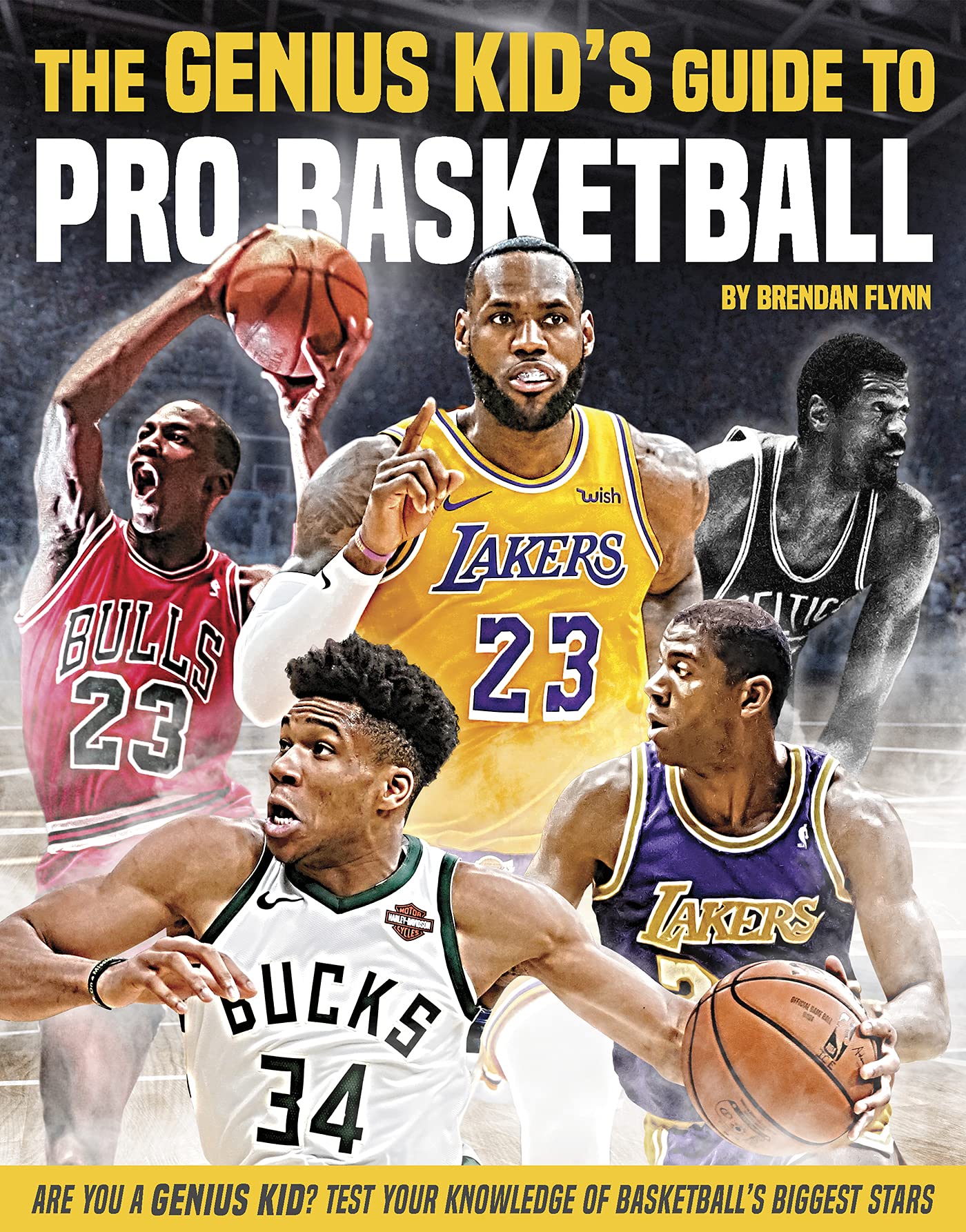 The Genius Kid's Guide to Pro Basketball by Brendan Flynn | Goodreads