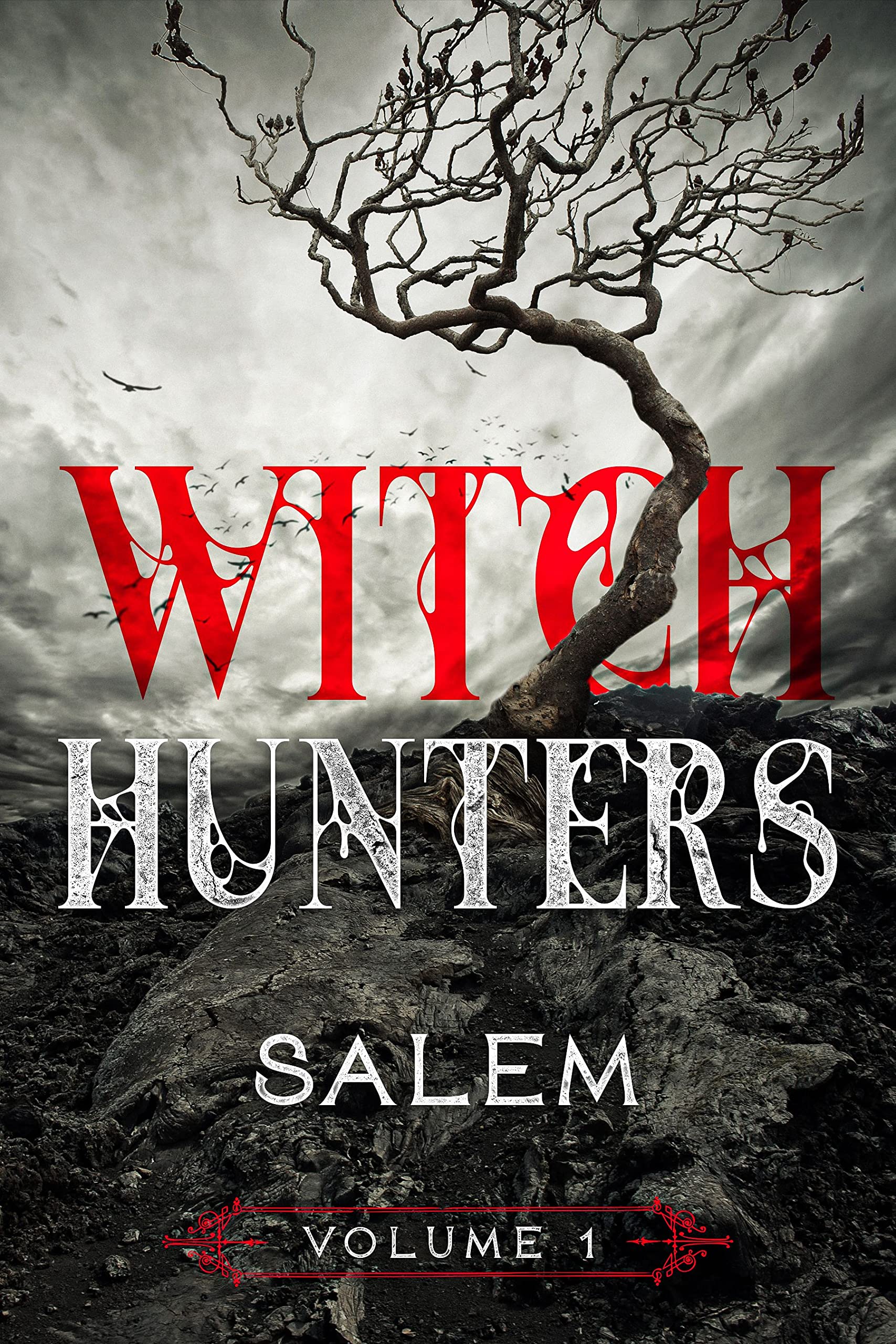 Witch Hunters: SALEM (Witch Hunters #1) by E.R. Russell | Goodreads