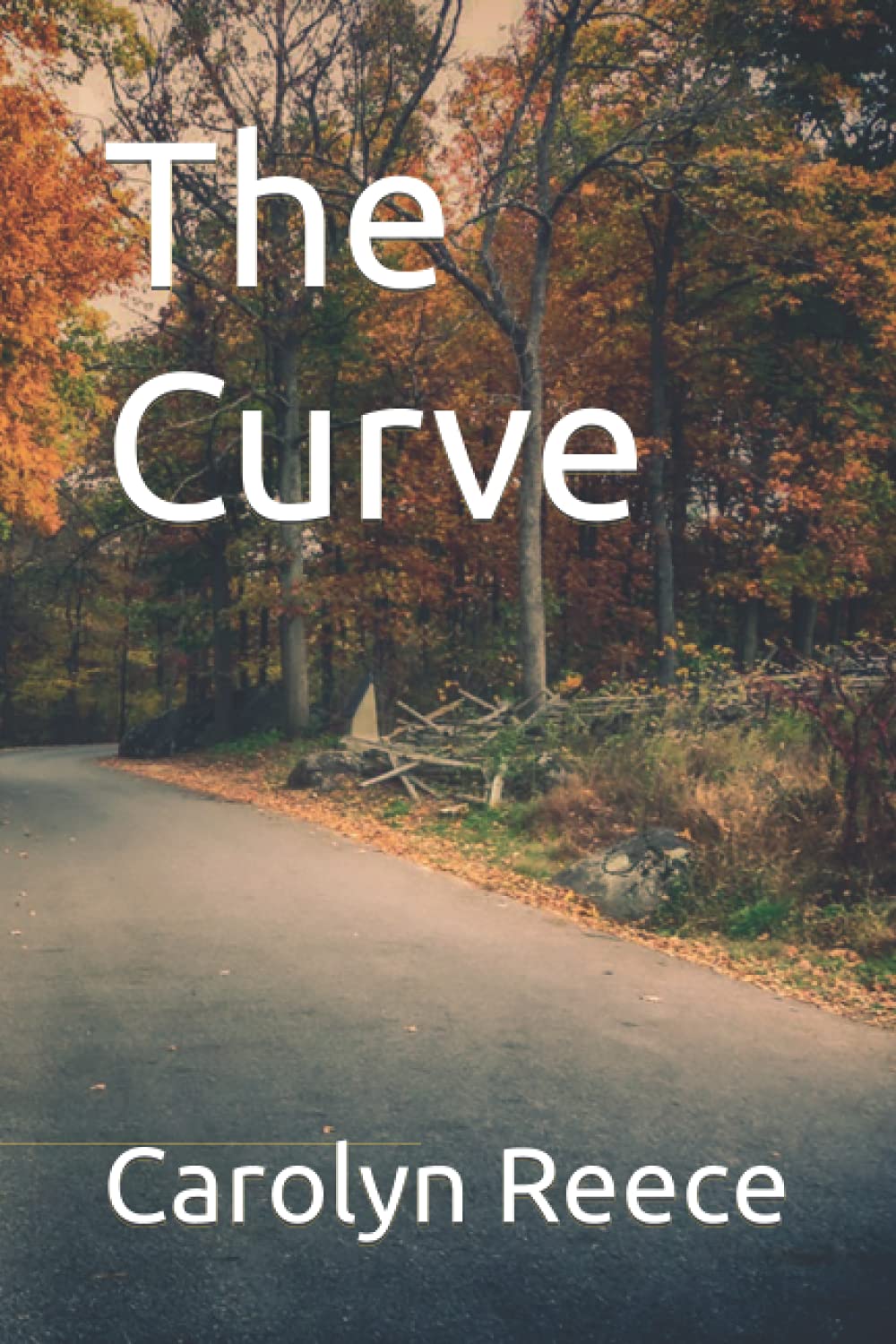 The Curve by Carolyn Reece | Goodreads