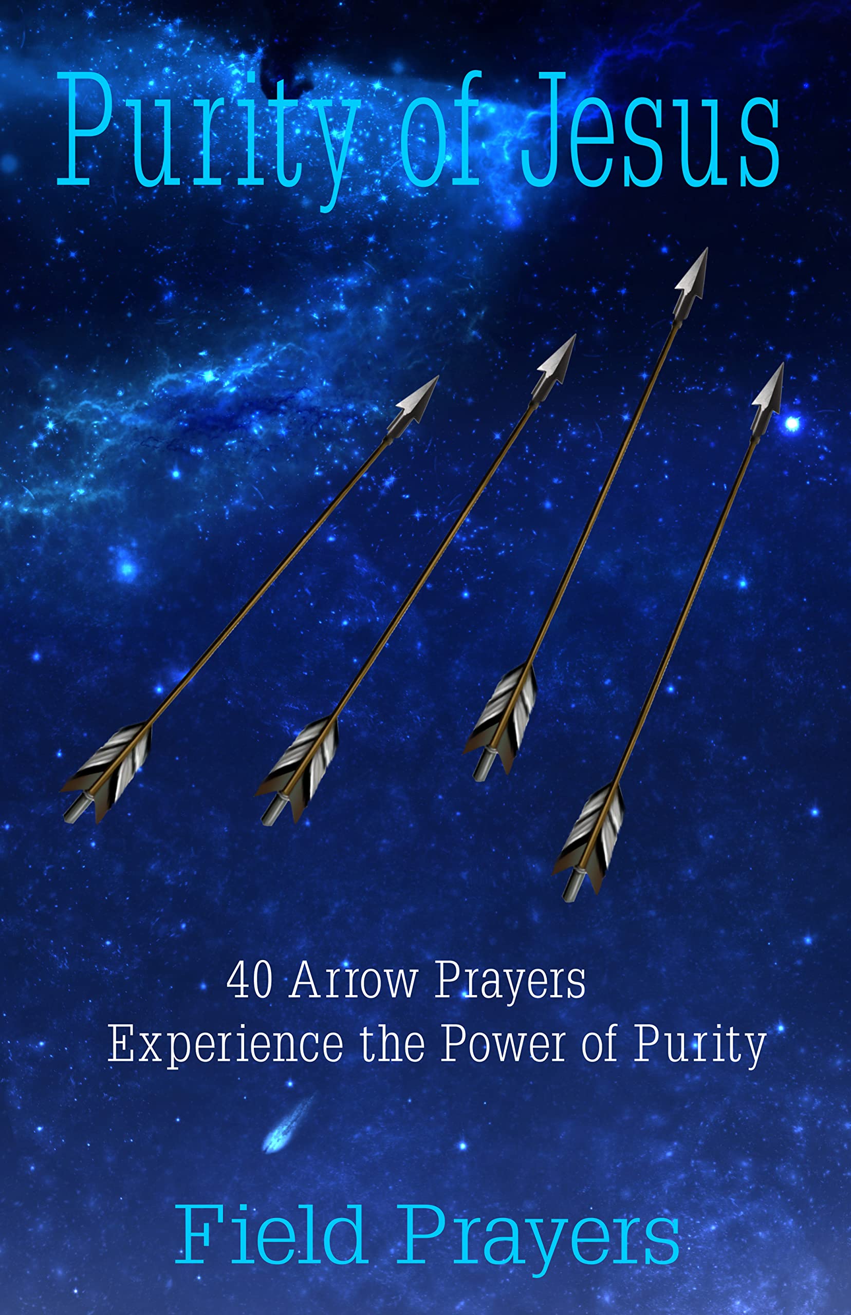 Purity of Jesus: Experience the Power of Purity by John L. Banda ...