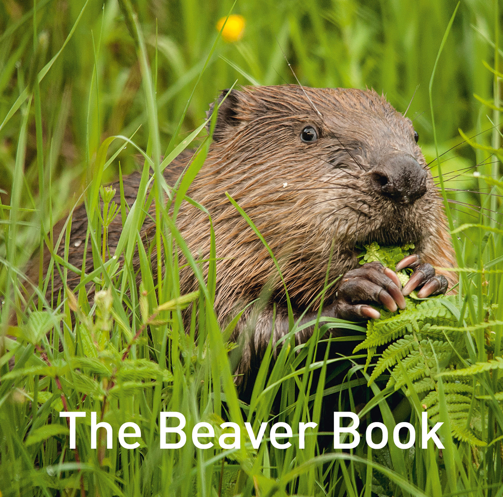 The Beaver Book (The Nature Book Series) by Hugh Warwick | Goodreads