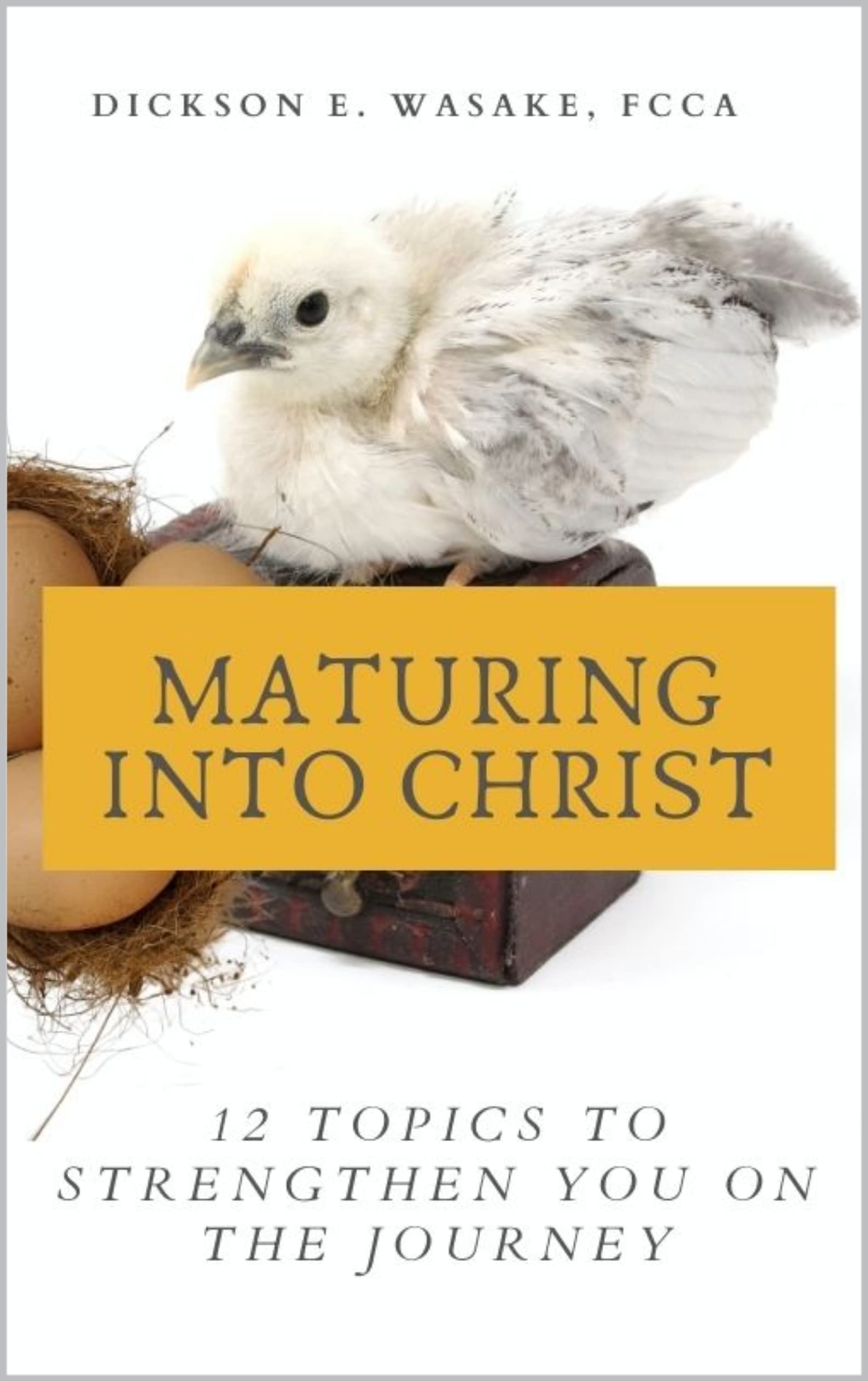 Maturing into Christ: 12 Topics to Strengthen You on Your Journey by ...