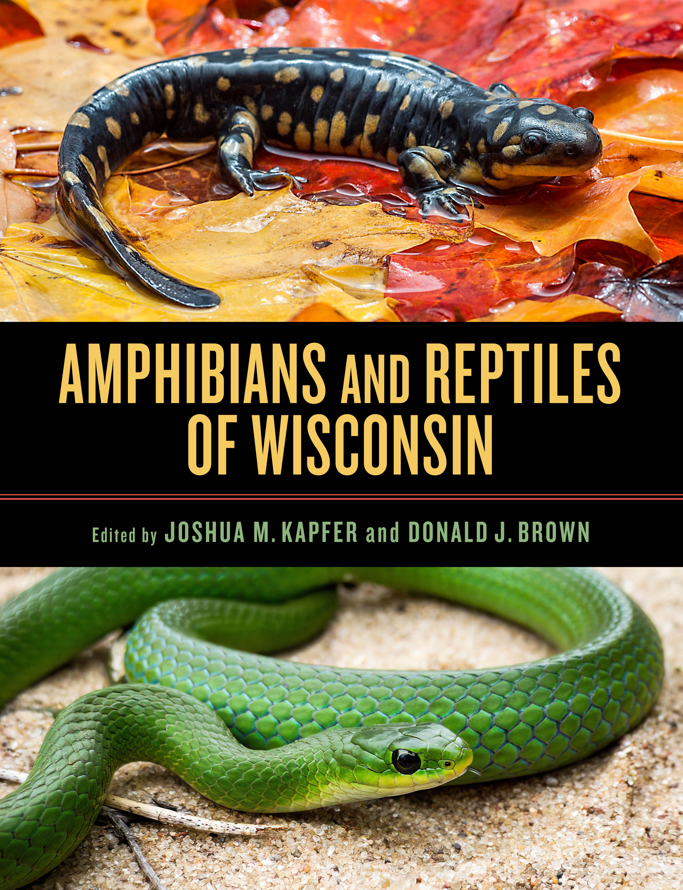 Amphibians and Reptiles of Wisconsin by Joshua M. Kapfer | Goodreads