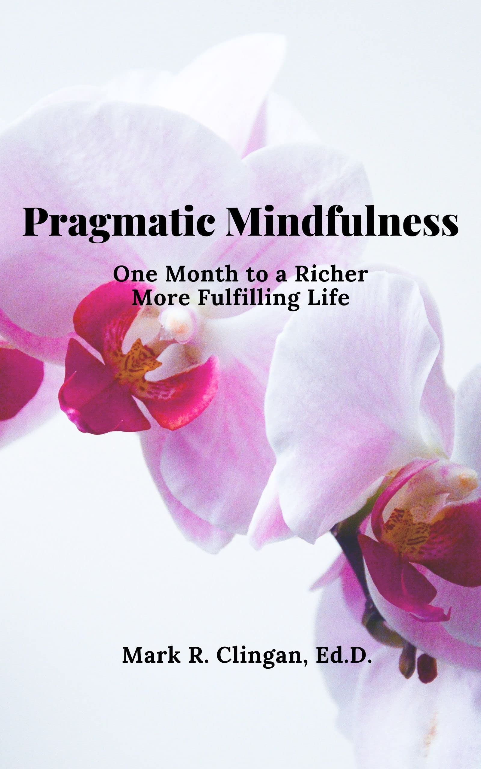 Pragmatic Mindfulness: One Month to a Richer More Fulfilling Life by ...