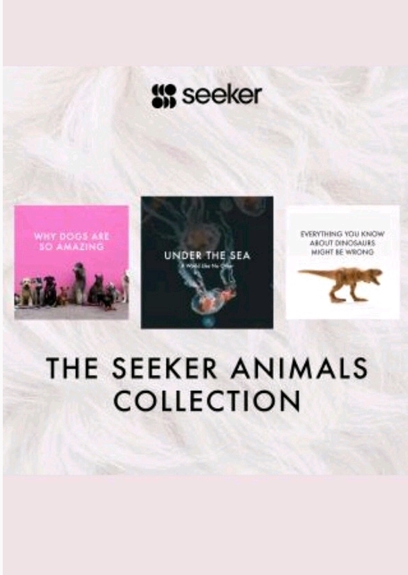 The Seeker Animals Collection by Trace Dominguez | Goodreads