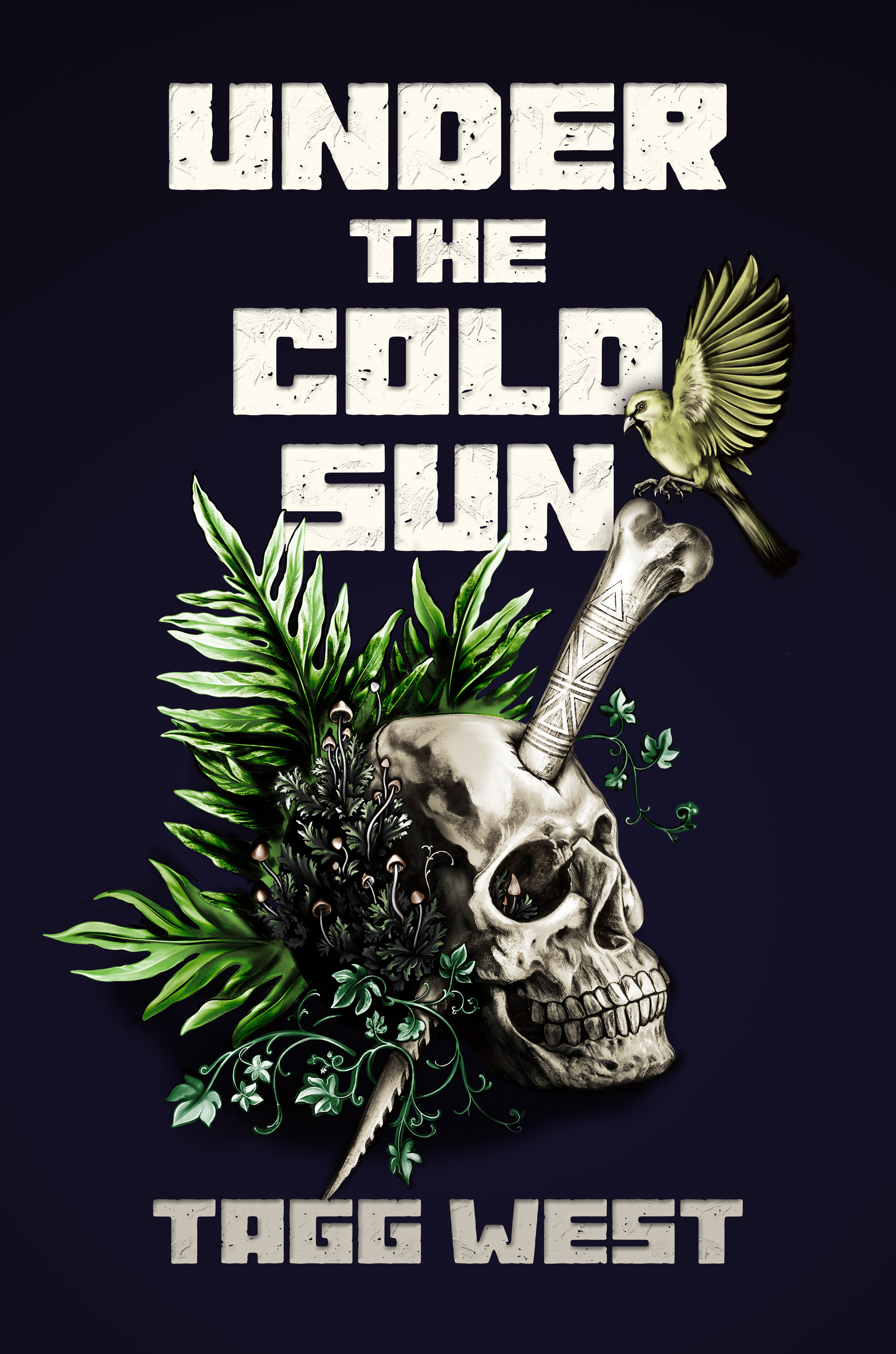Under the Cold Sun by Tagg West | Goodreads