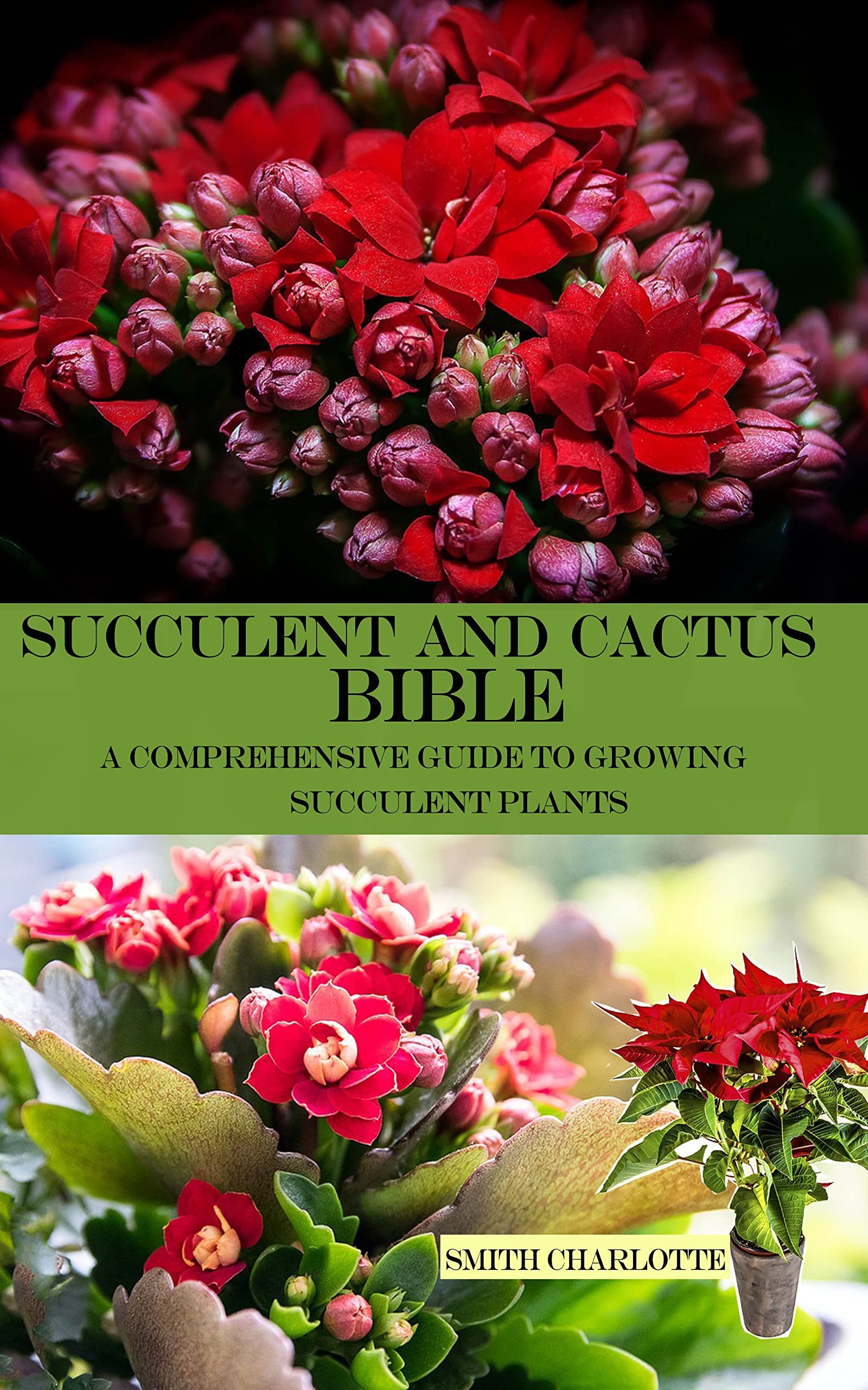 SUCCULENT AND CACTUS BIBLE: A COMPREHENSIVE GUIDE TO GROWING SUCCULENT ...