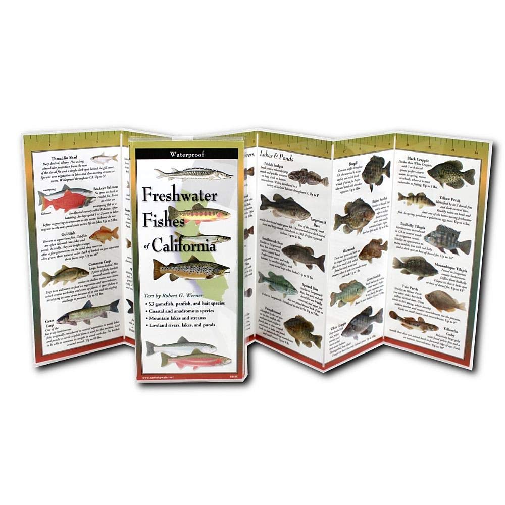 Freshwater Fishes of California (Foldingguides by Robert G Werner ...