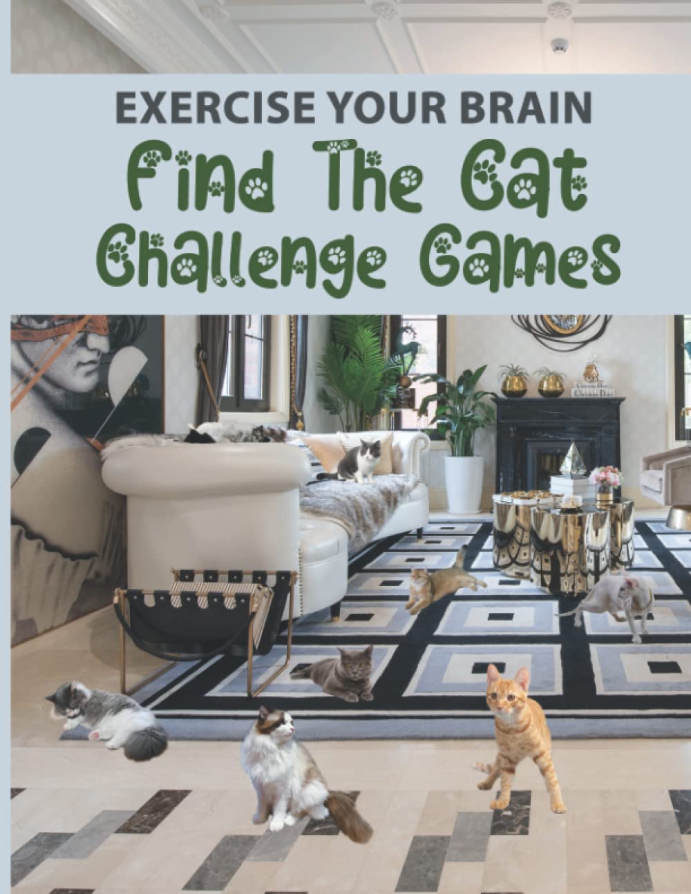 Find The Cat Challenge Games - Exercise Your Brain: Search for Hidden ...