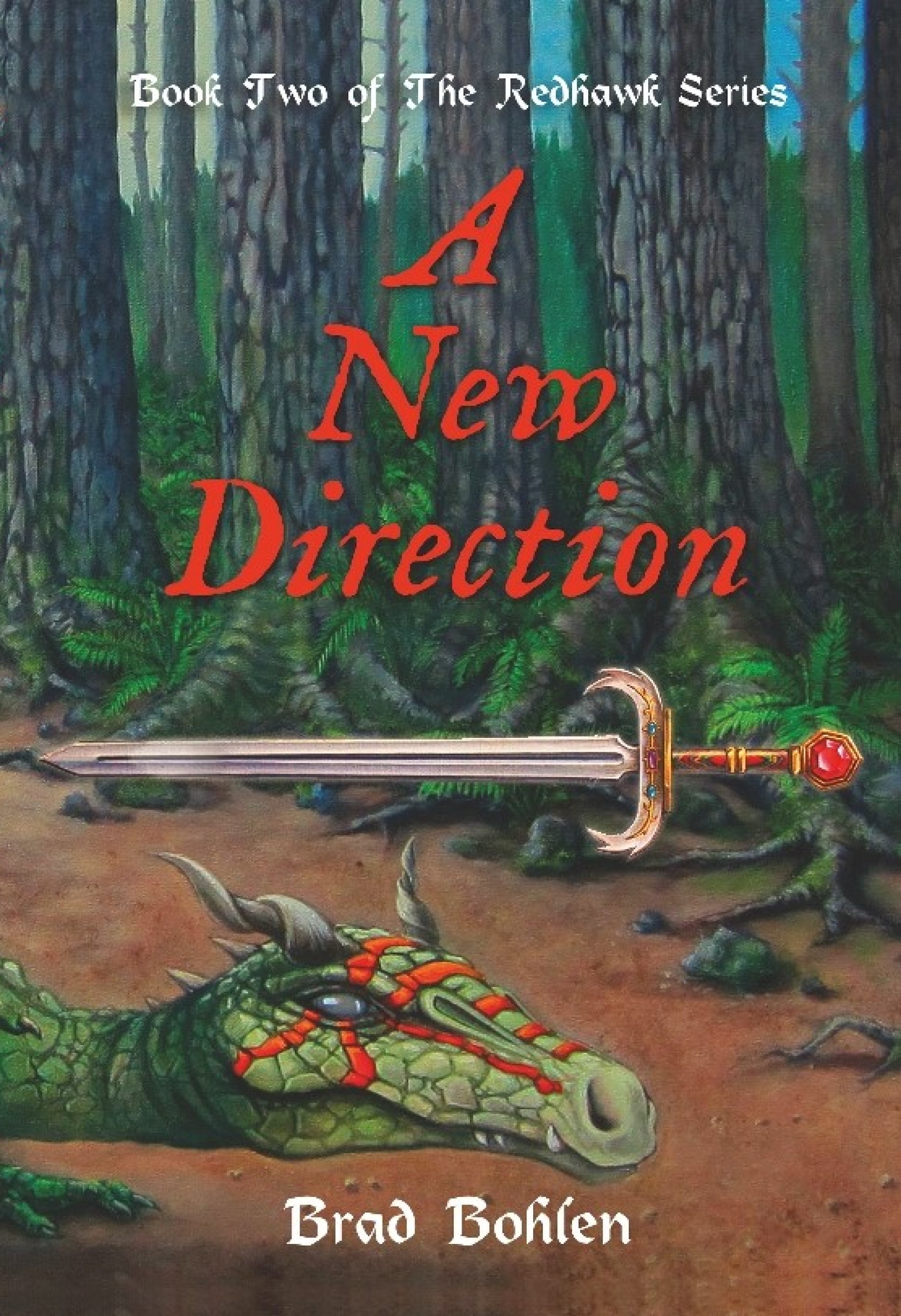 A New Direction: Book Two of The Redhawk Series by Brad Bohlen | Goodreads