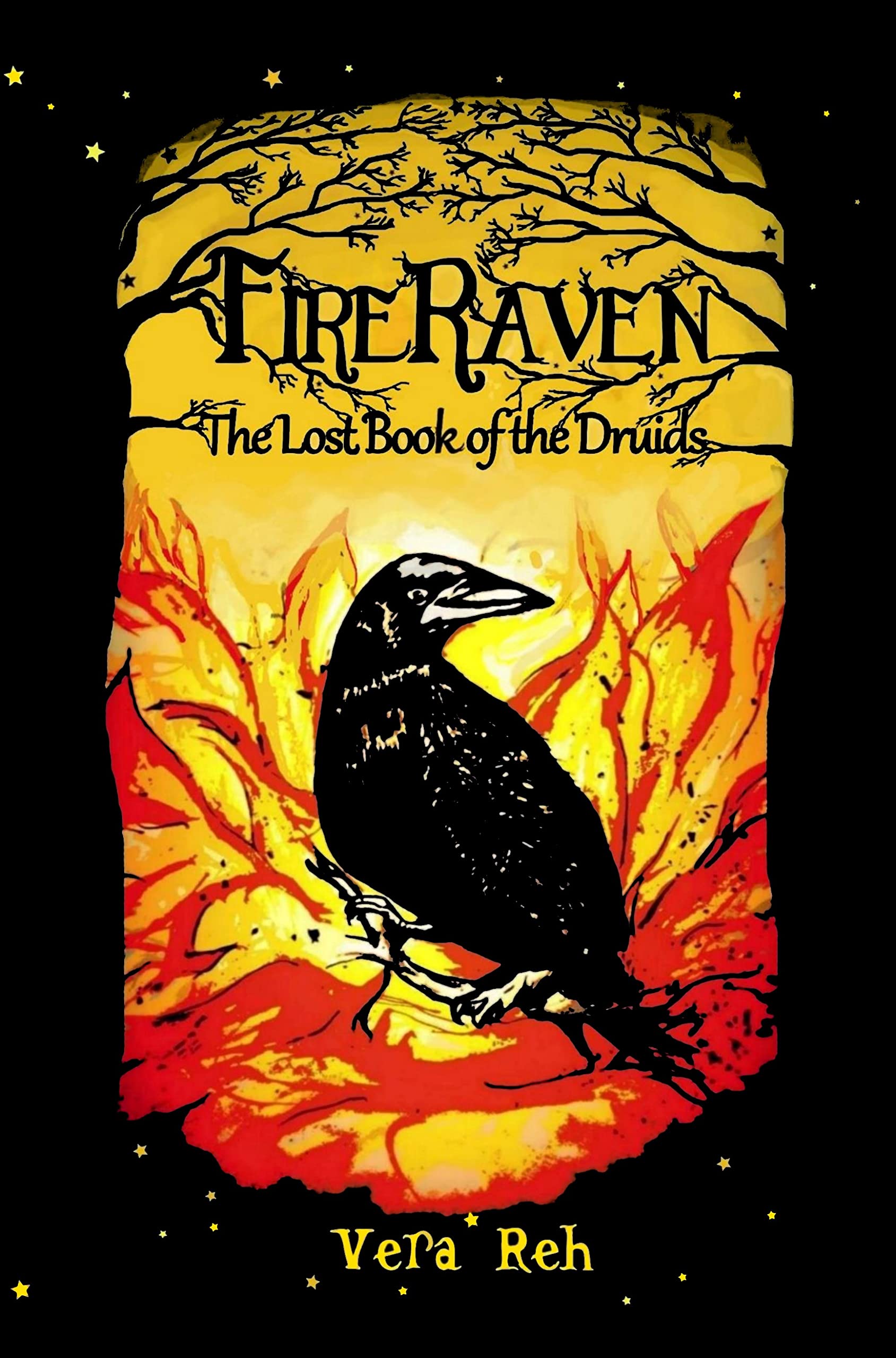 Fire Raven: The Lost Book of the Druids by Vera Reh | Goodreads