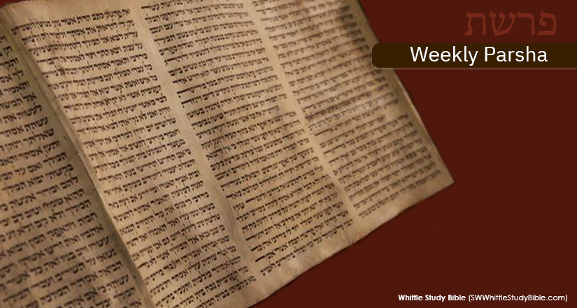 Parshat Beshalach (Exodus 13:17-17:16) Basic Parsha Compendium by ...