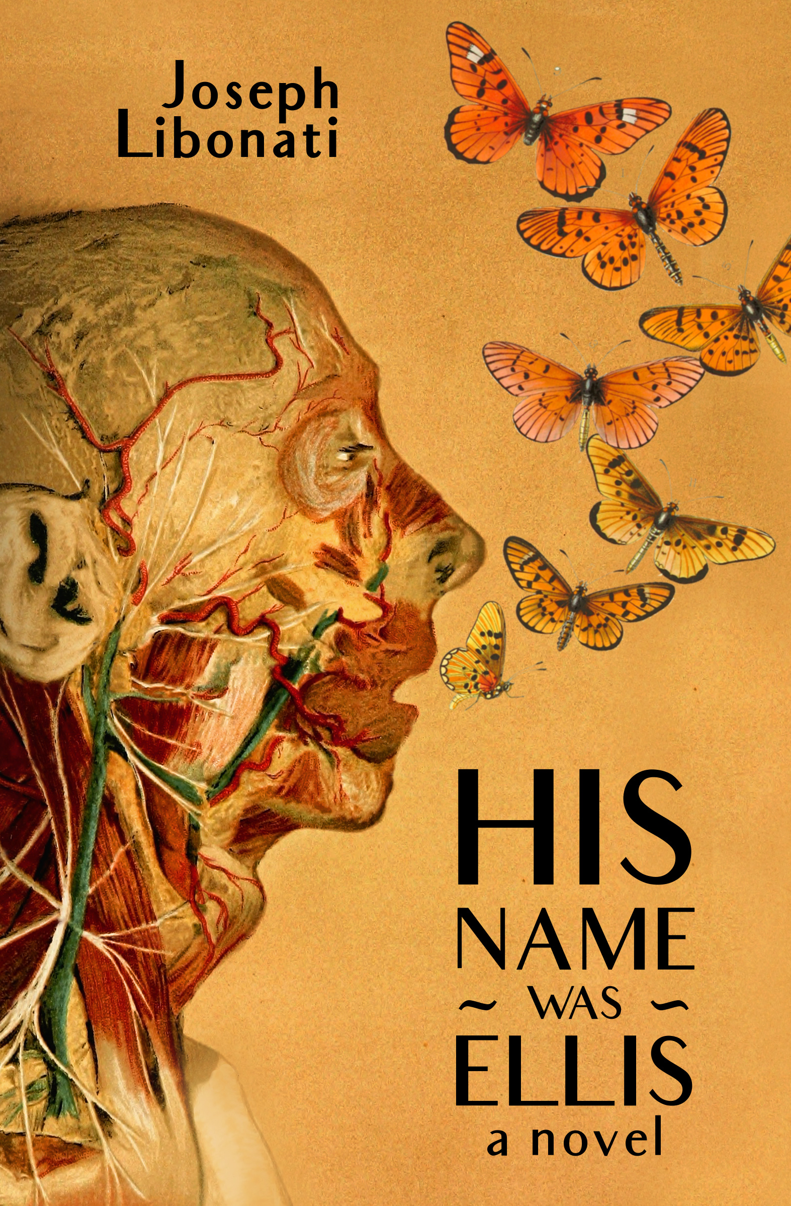His Name Was Ellis by Joseph Libonati | Goodreads