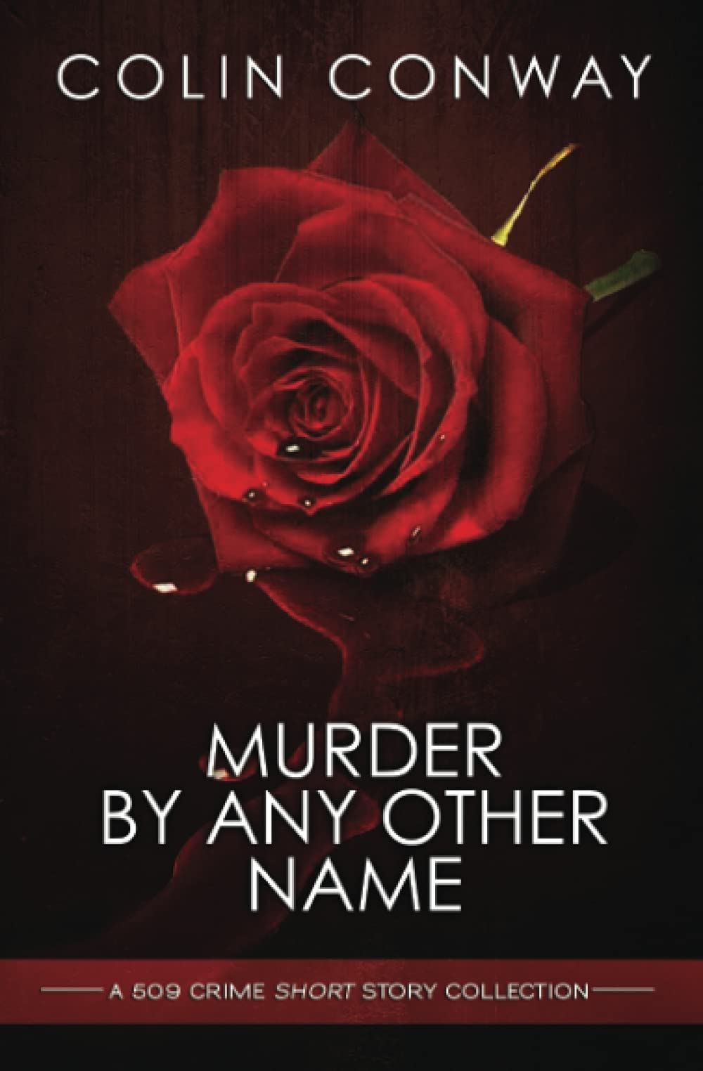 Murder by Any Other Name (The 509 Crime Stories) by Colin Conway ...