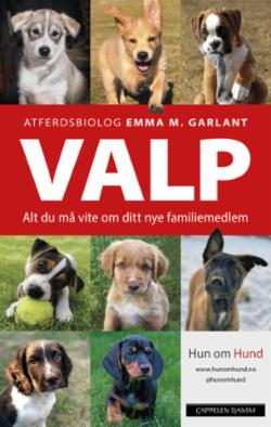 Valp -alt du må vite om ditt nye familiemedlem by Emma M. Garlant ...