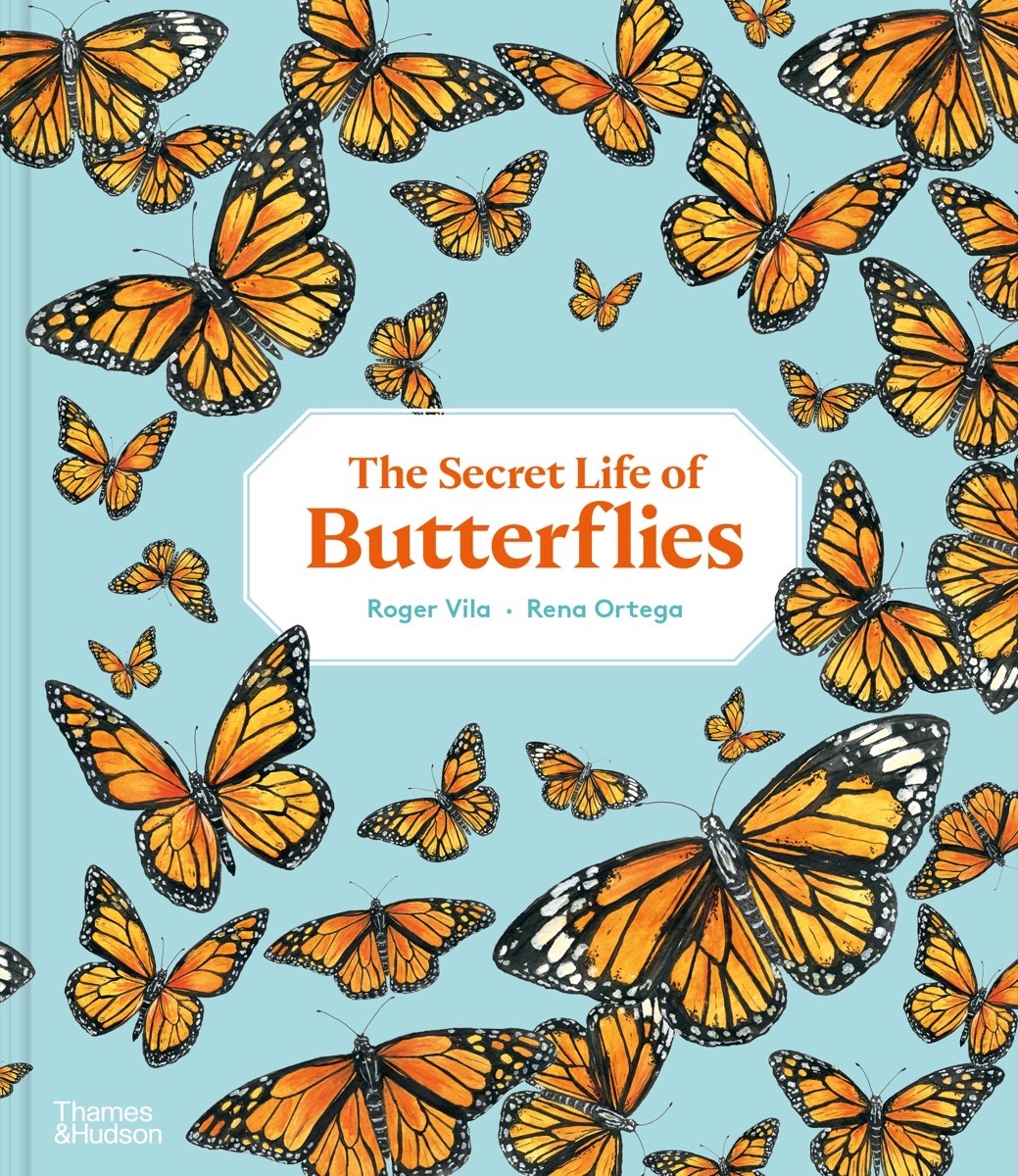 The Secret Life of Butterflies by Rena Ortega | Goodreads